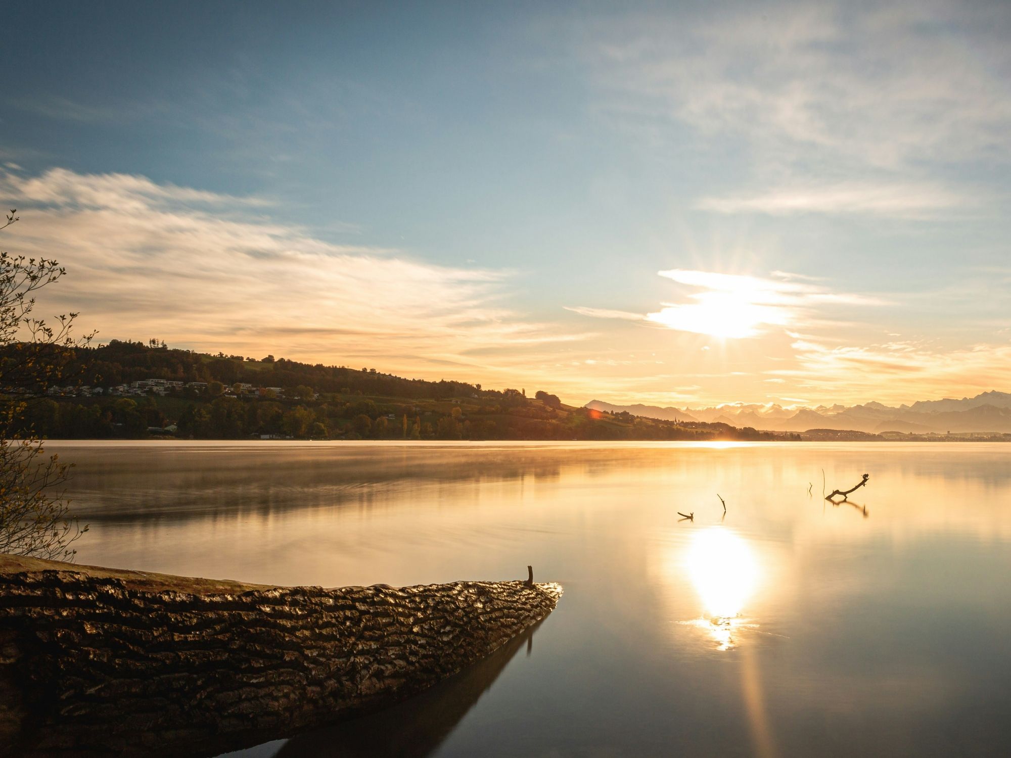 8 Things to Do in Sursee 2025