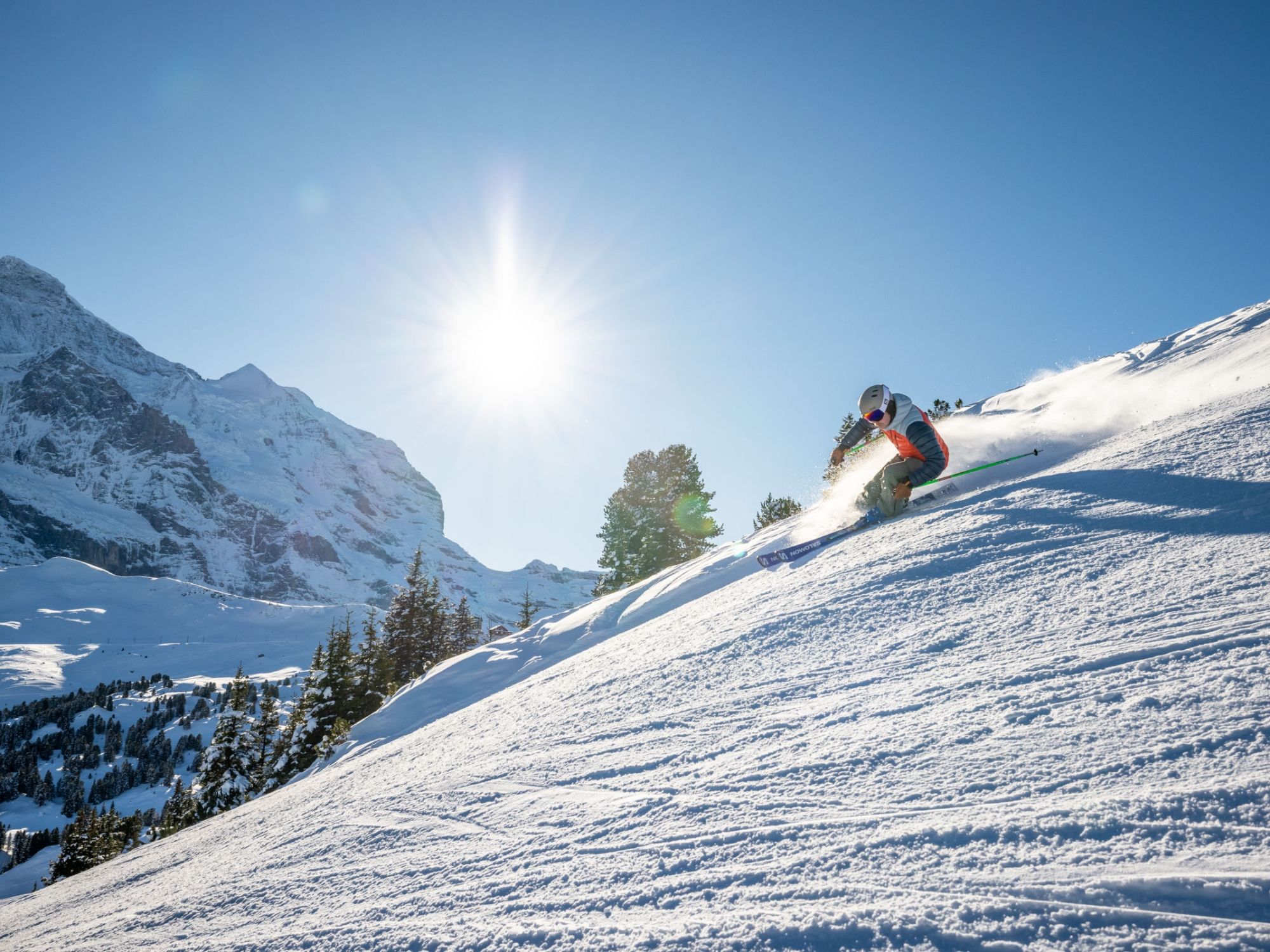 Grindelwald Ski Pass