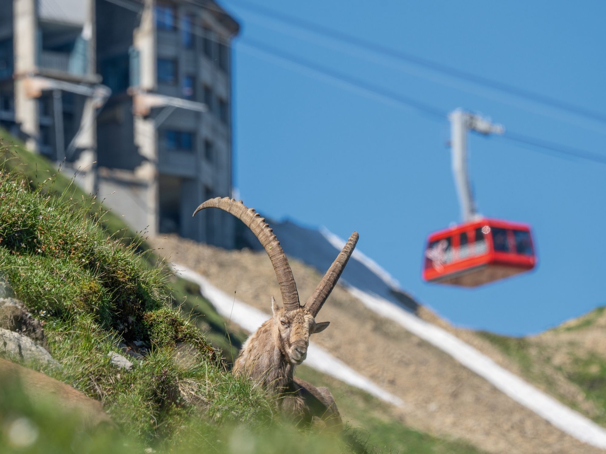 Brienzer Rothorn Ticket Seilbahn ab Sörenberg