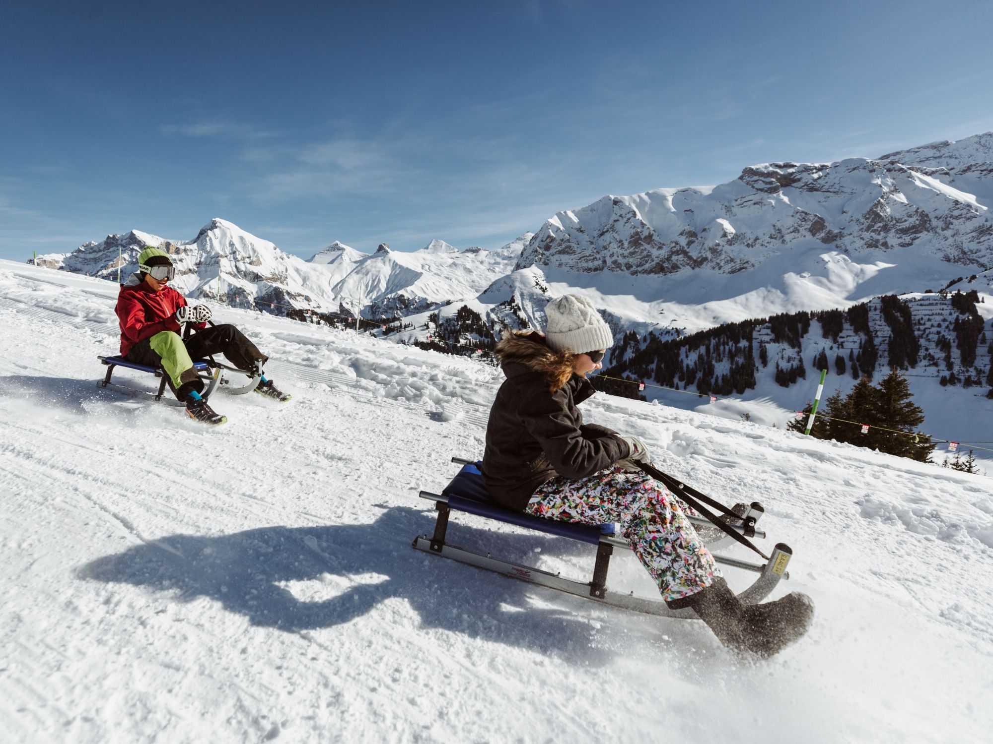 Celodenný lístok na sánkovanie vrátane požičania sane na VogellisiBergu