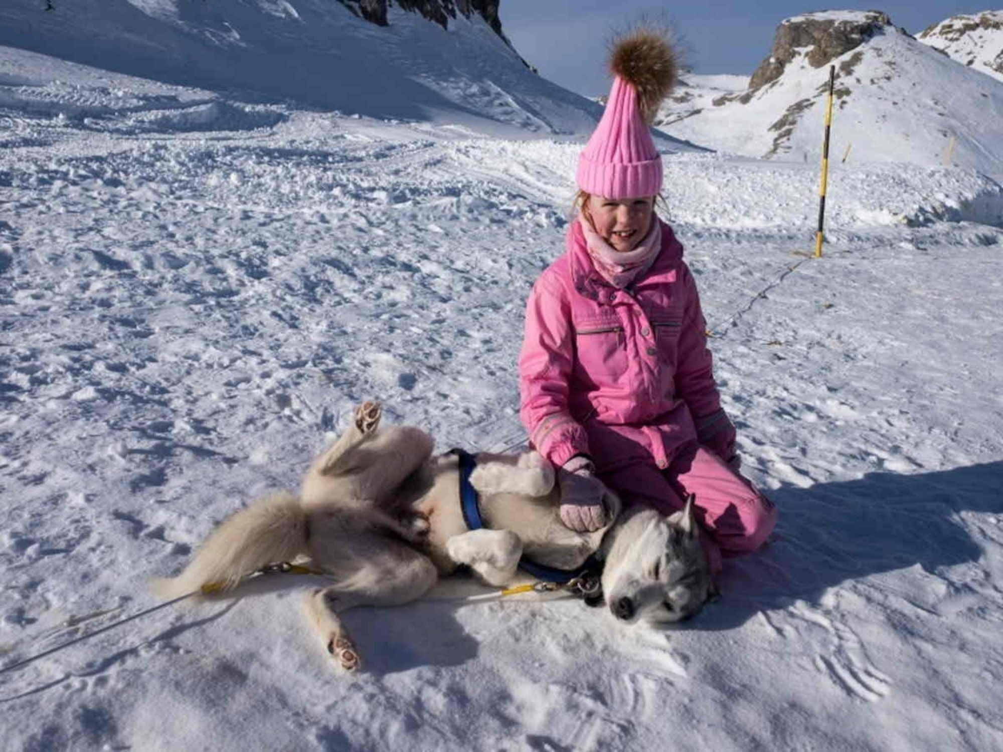 Family adventures in the rhythm of sled dogs