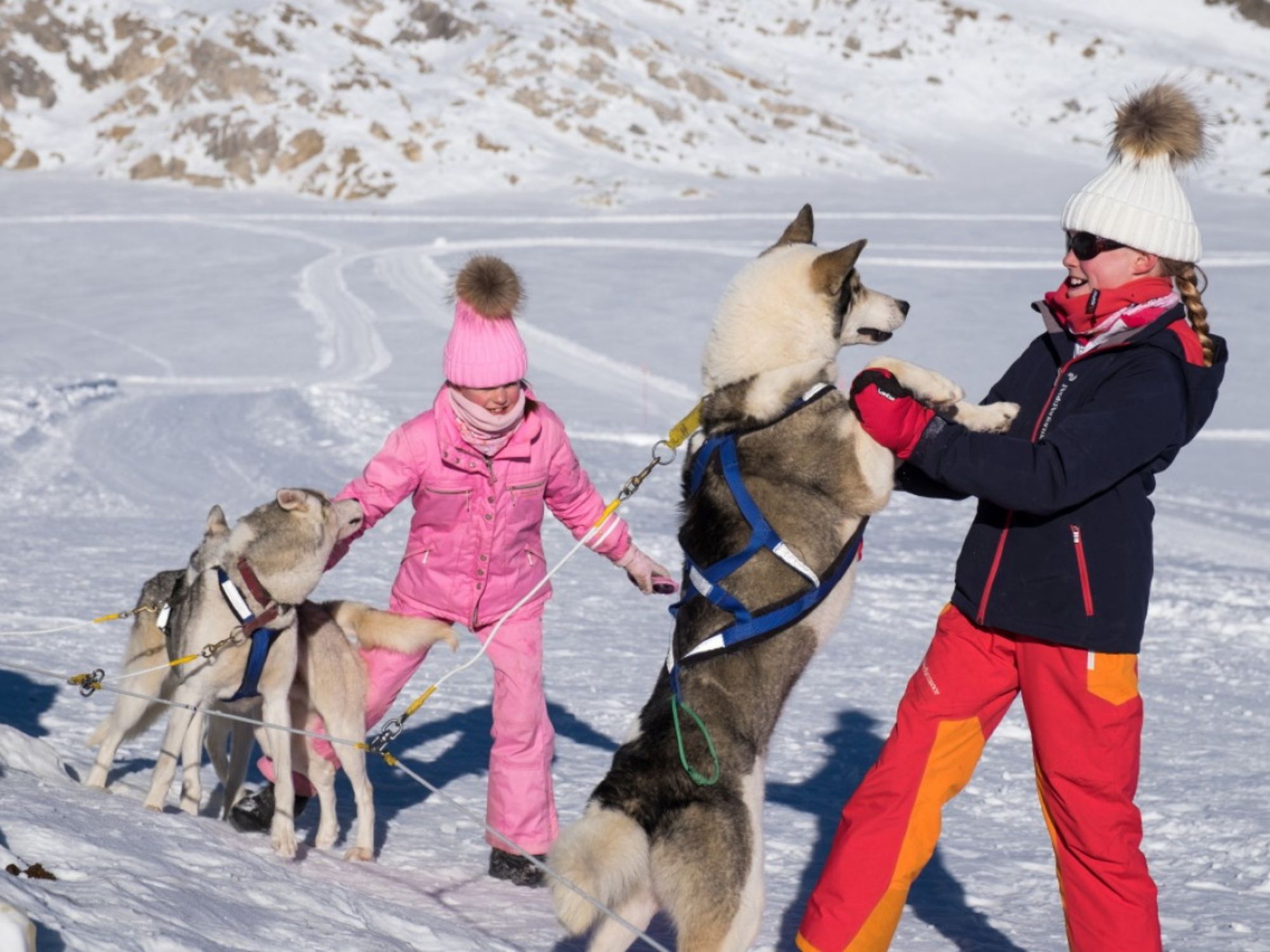 Family adventures in the rhythm of sled dogs