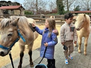 Kovboj Kovbojka Na Pon Farm V D tsk m Zoo Knies V Rapperswilu