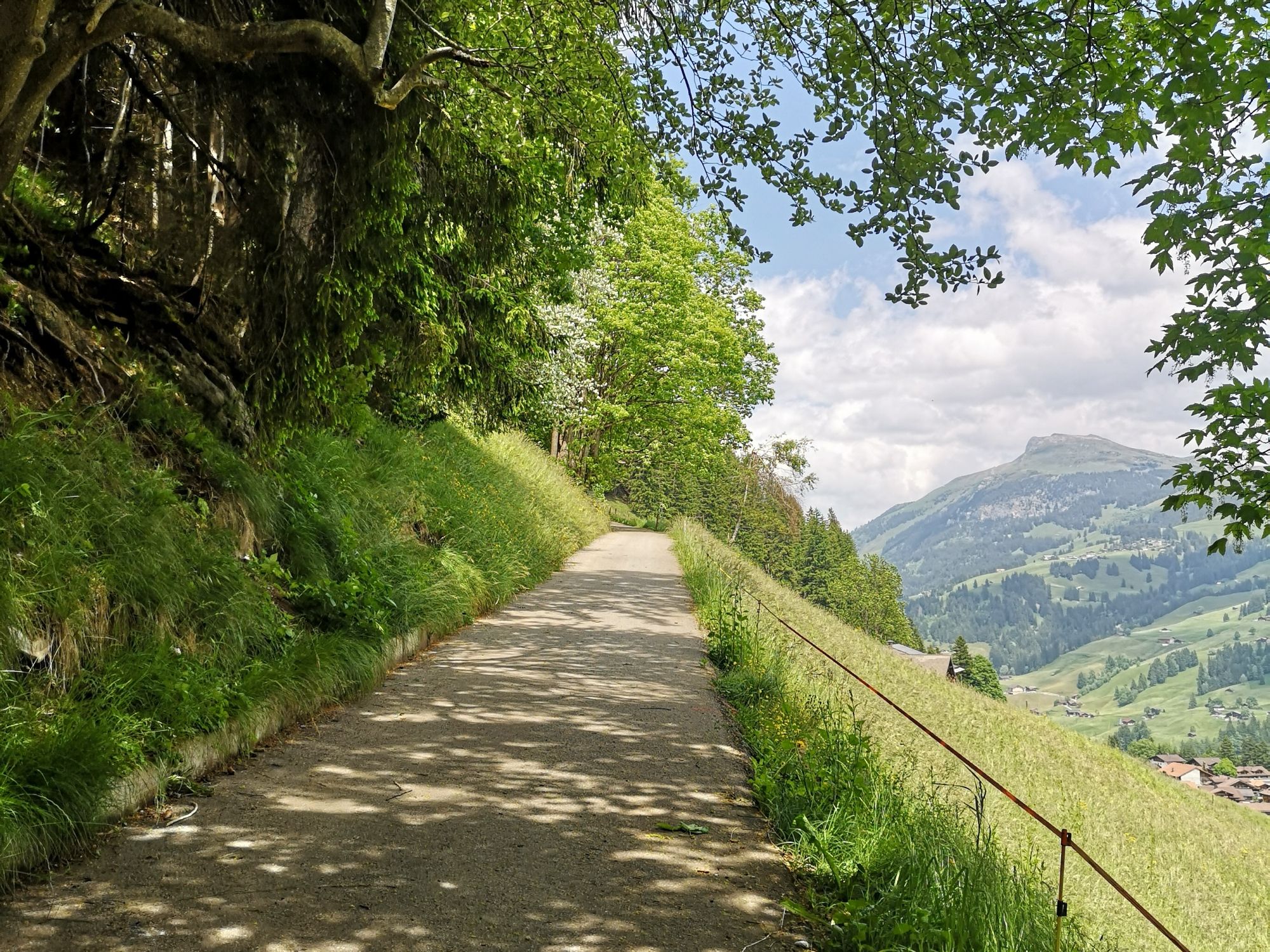 Private Medicinal Plants and Herb Walk in Adelboden