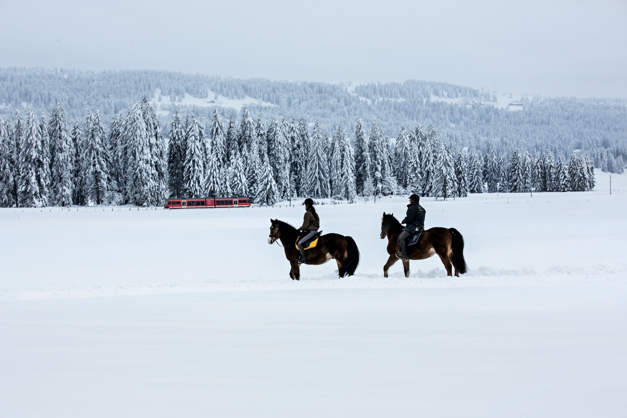 Les meillures choses à faire à Saint-Imier 2026