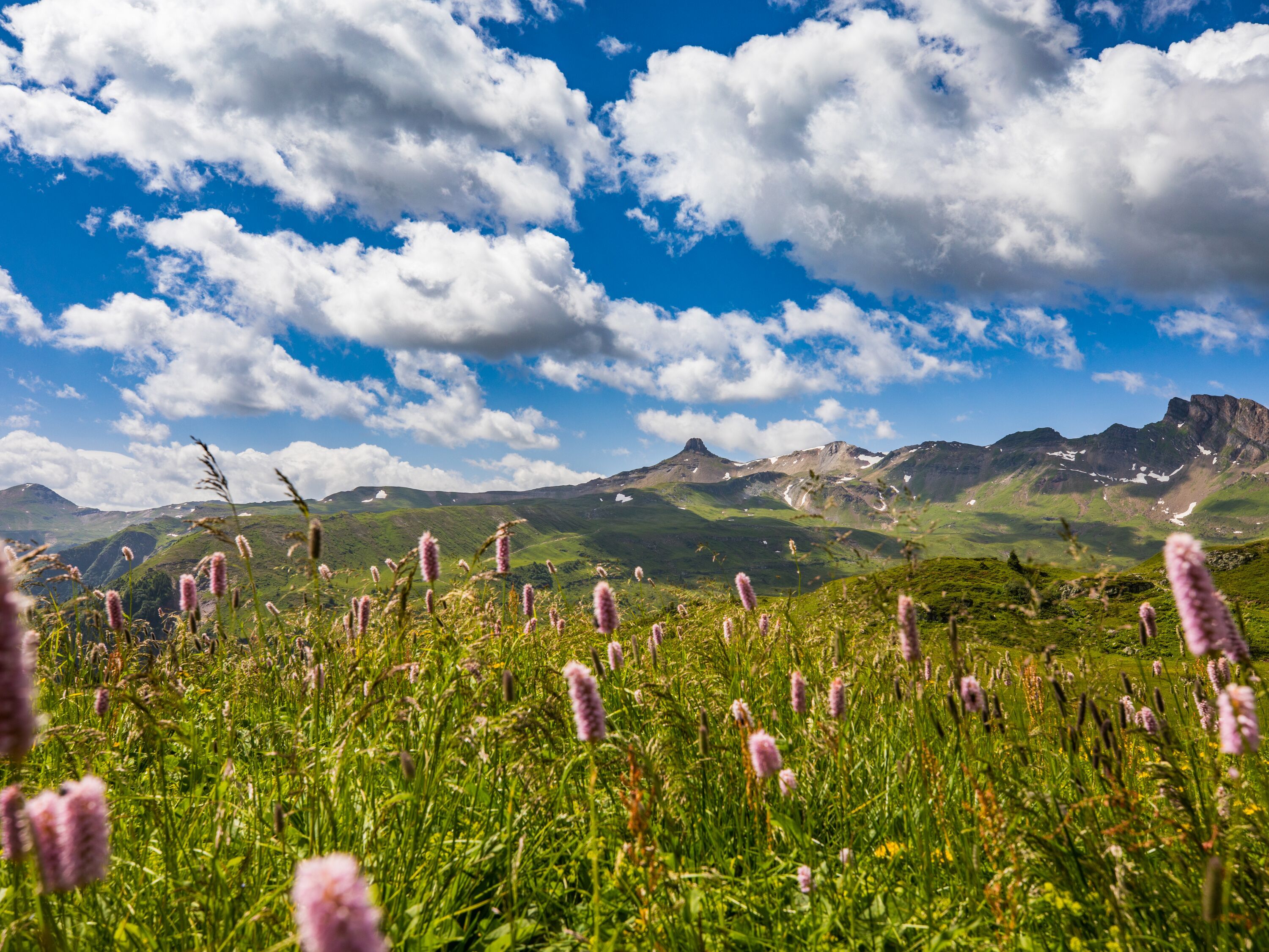 8 Things to Do in Bad Ragaz 2025