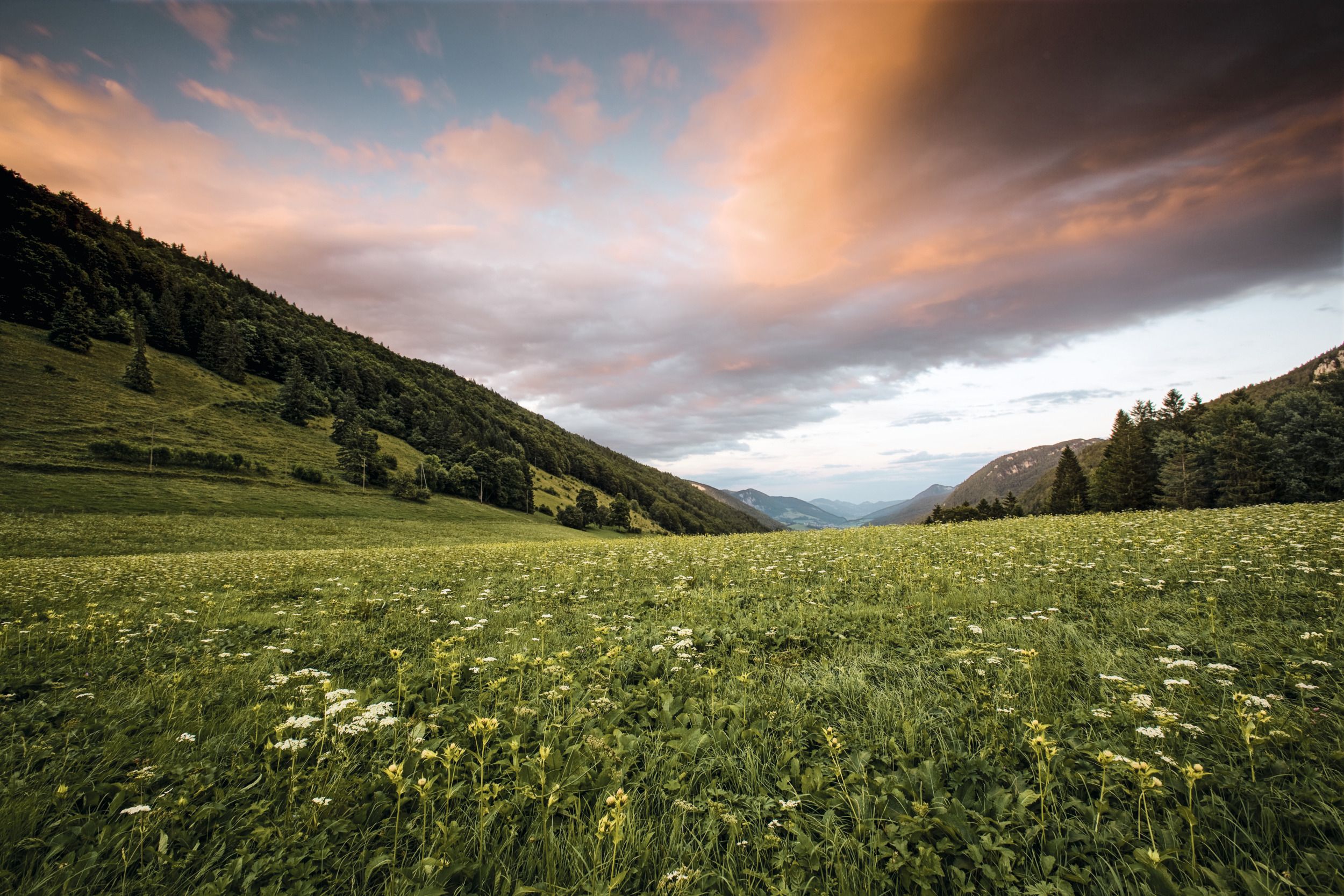 Basel - Top 28 objek wisata dan aktivitas 2025