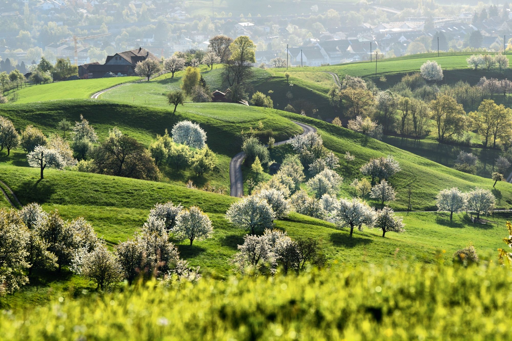 12 choses à faire au printemps en Suisse