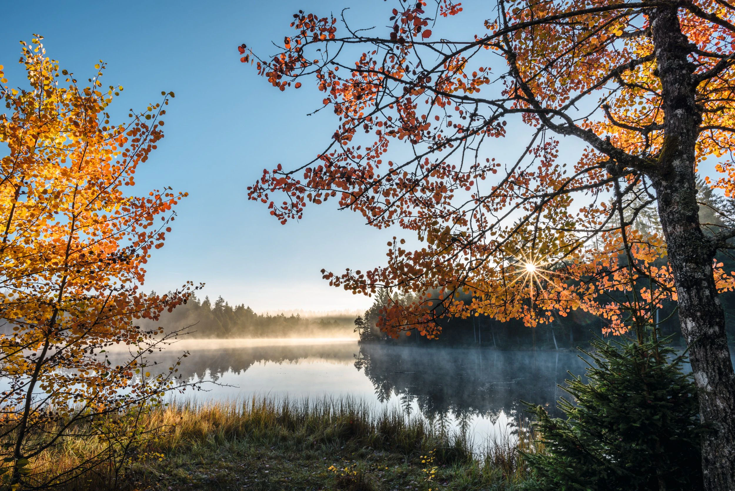 The 20 most beautiful nature parks in Switzerland
