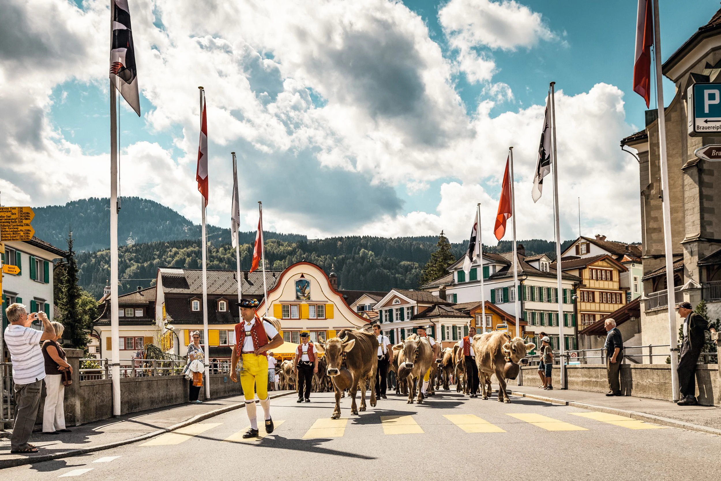 Las lenguas de Suiza: Todo lo que necesitas saber y dónde se hablan