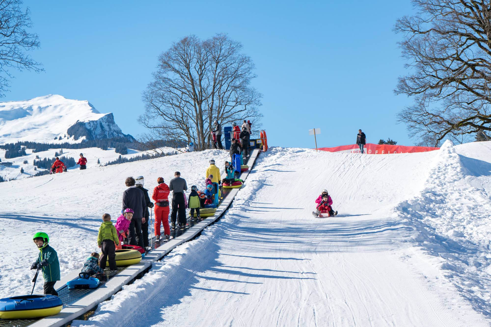 Schlitteln Grindelwald – die schönsten Schlittelwege 2025