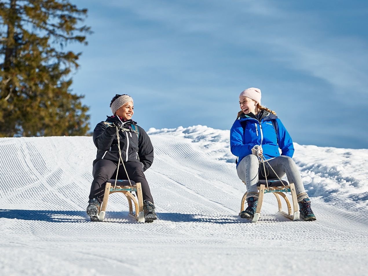 Sledding - the best prices and offers 2025