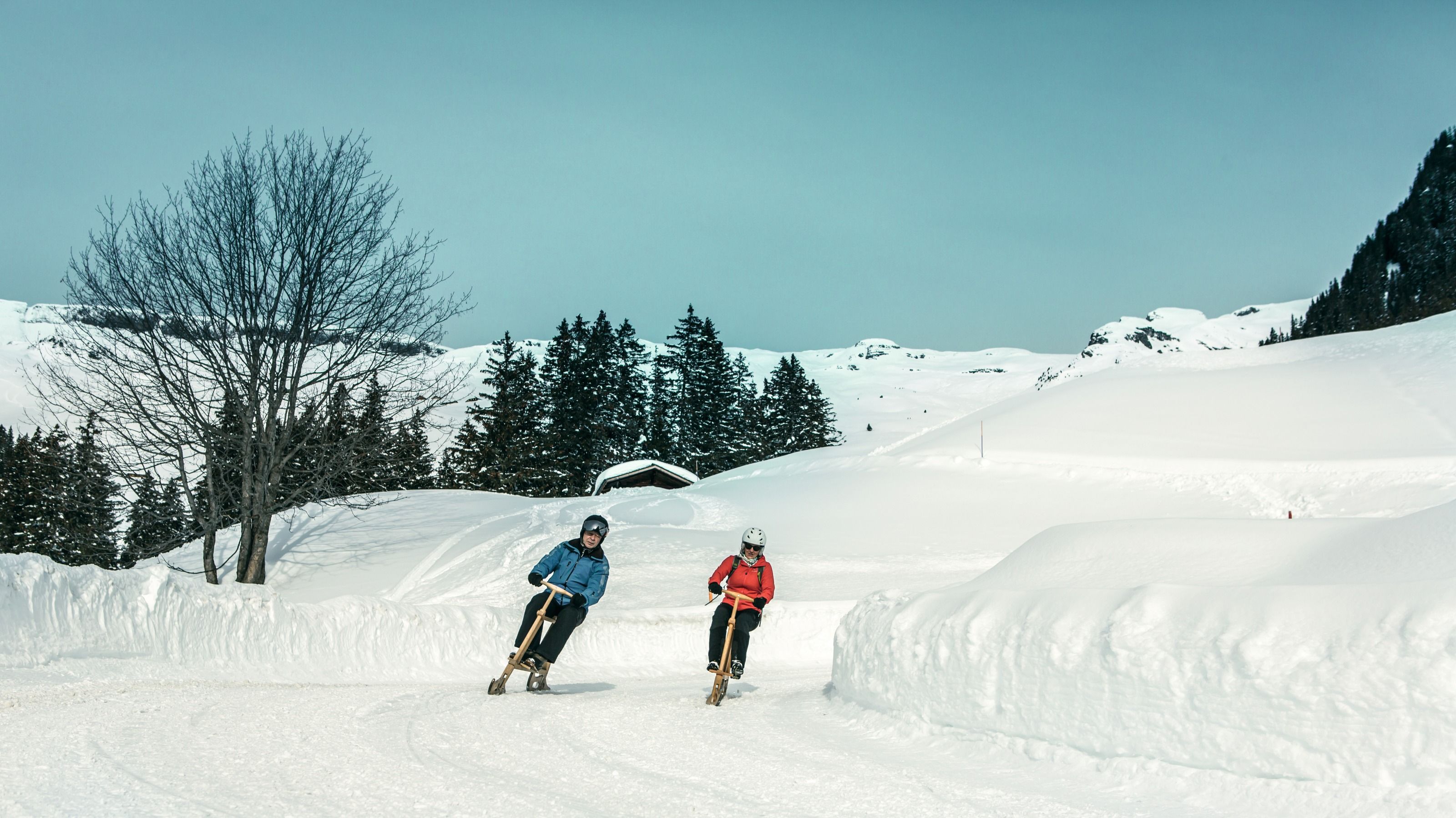 Sledding Grindelwald – the most beautiful sledding paths 2025