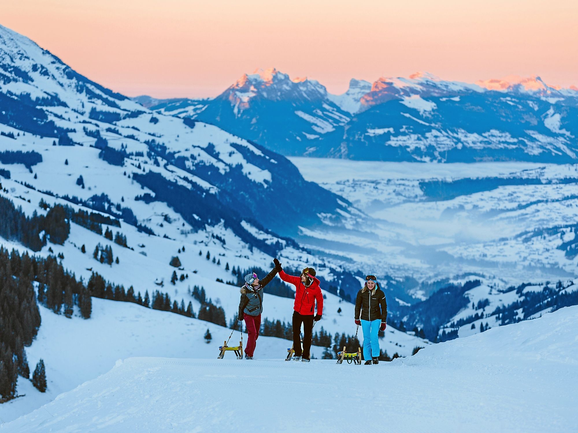 The best Sledding offers in Switzerland | Swiss Activities