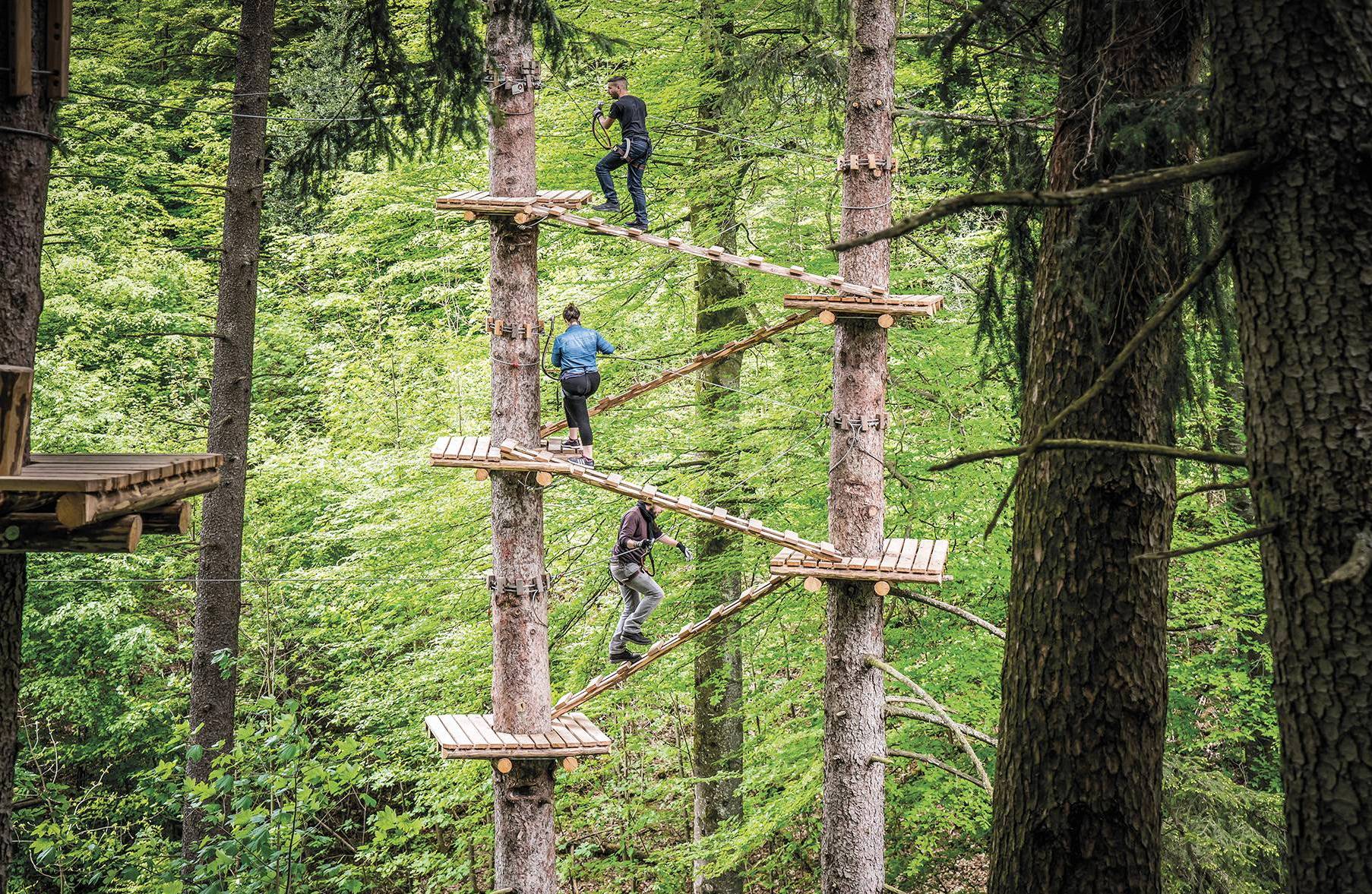 Seilparks in der Schweiz - die 20 beliebtesten Standorte