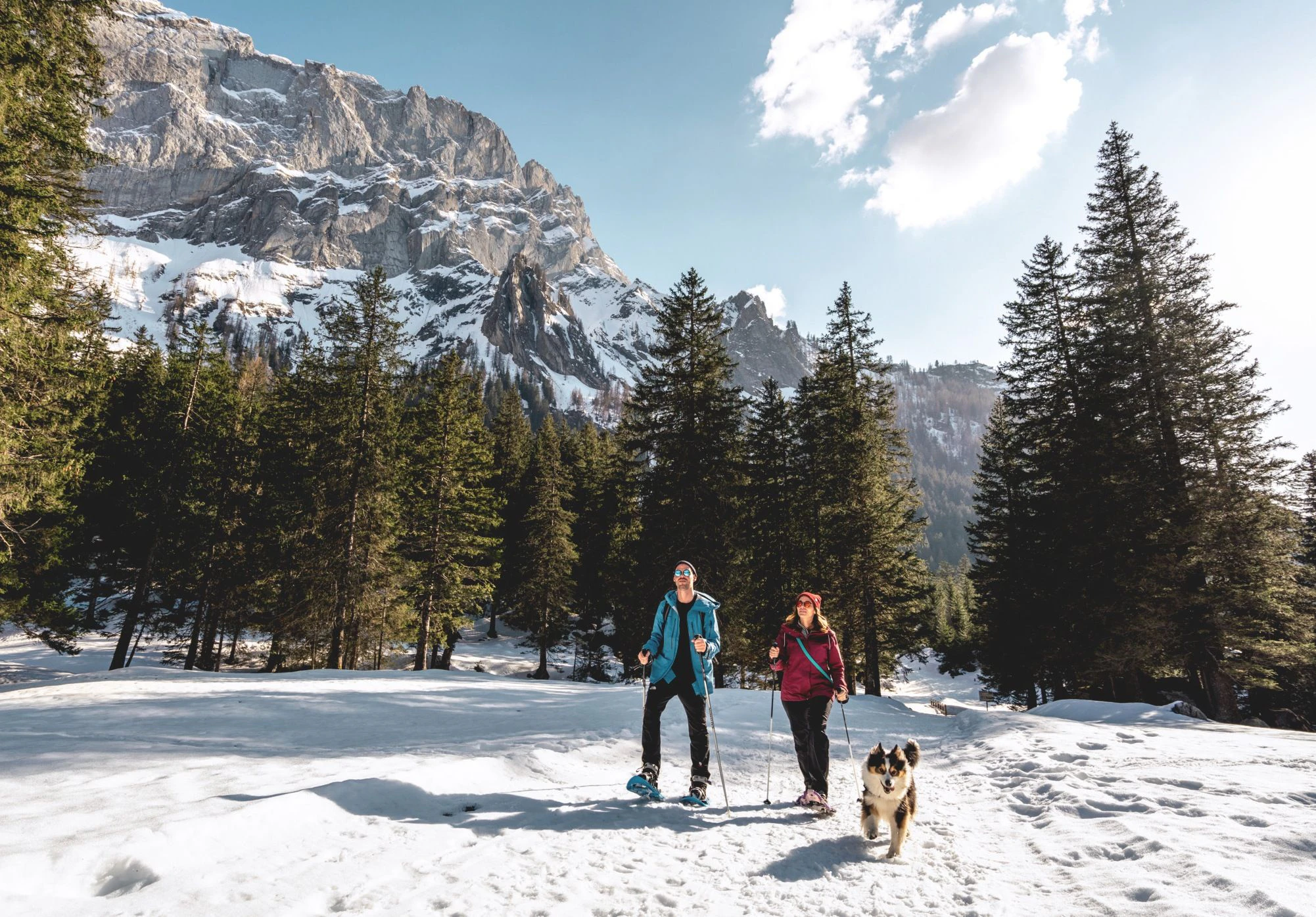 Die 100+ besten Ausflüge mit dem Hund für die Schweiz