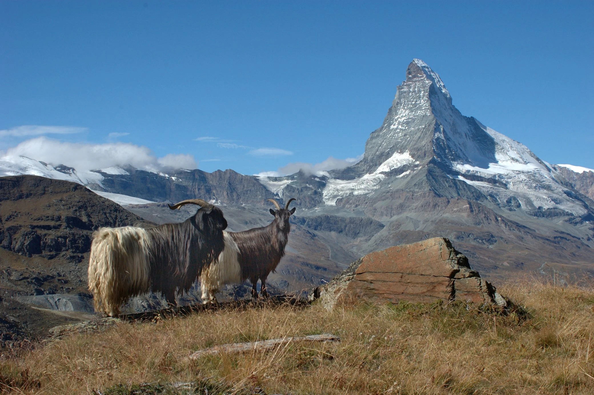Gornergrat - the excursion destination on the Matterhorn