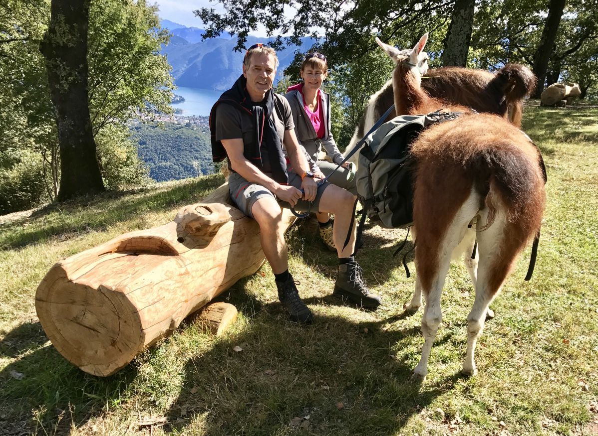 Llama and Alpaca Trekking in Switzerland