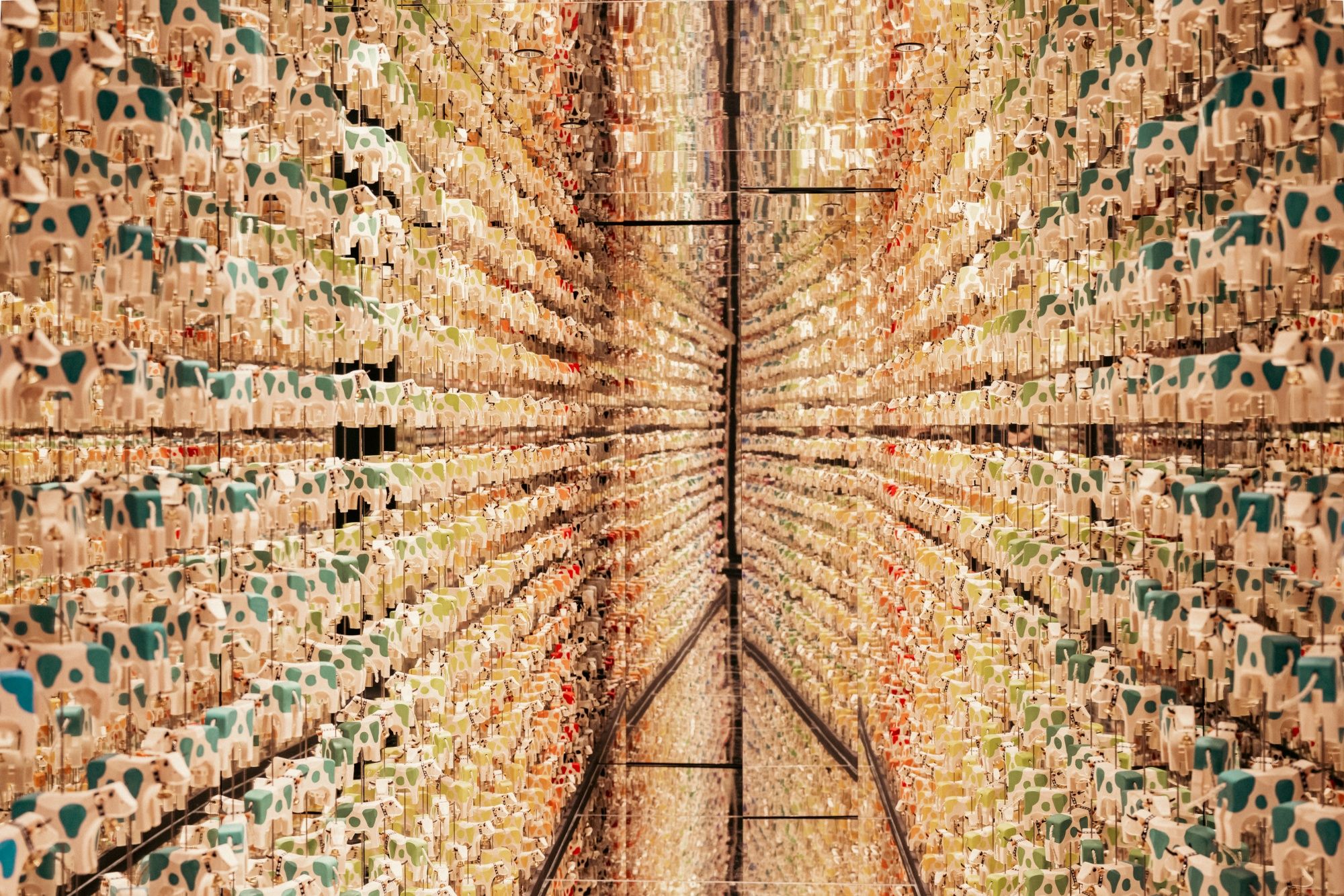 Trauffer world of experience