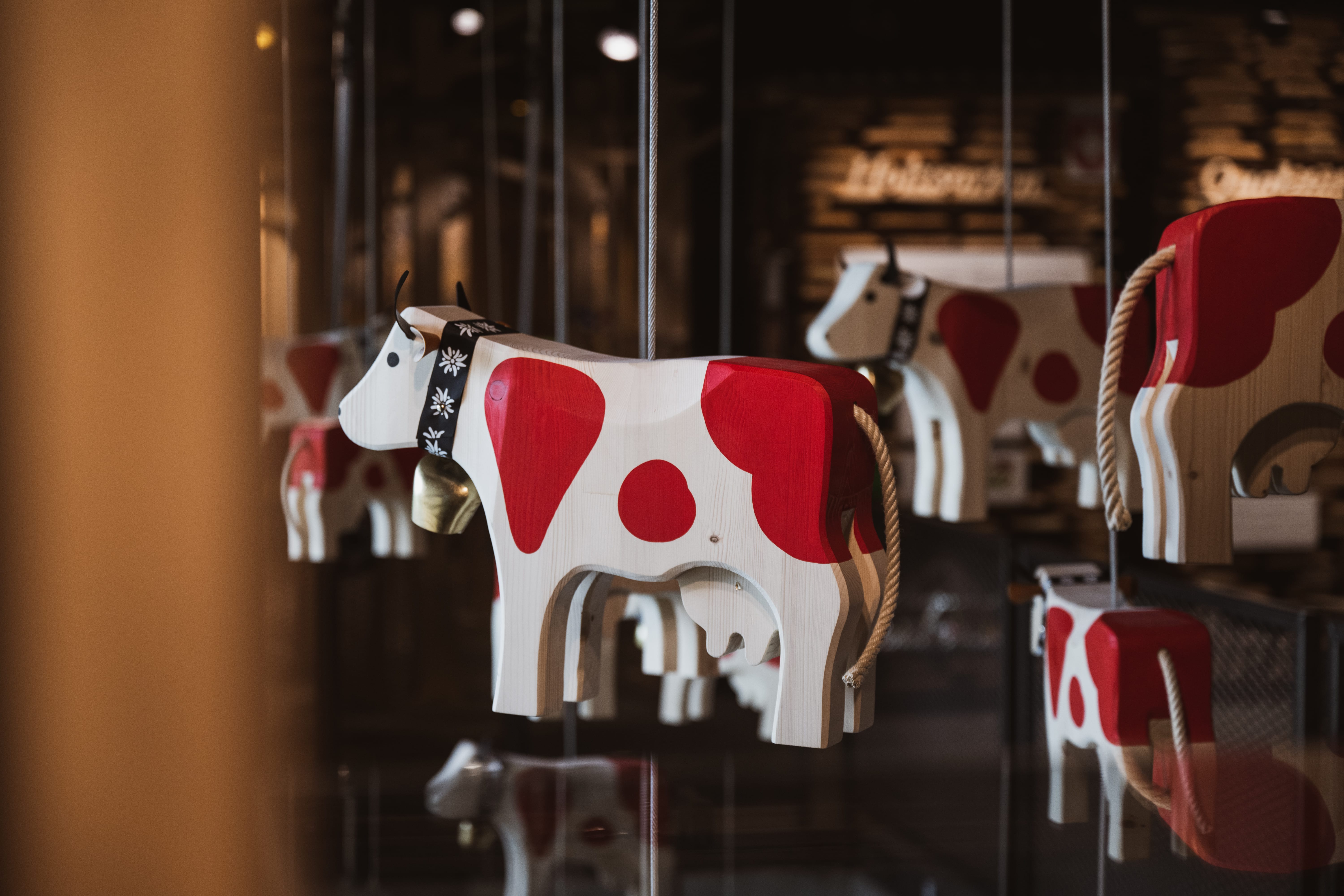 Trauffer world of experience