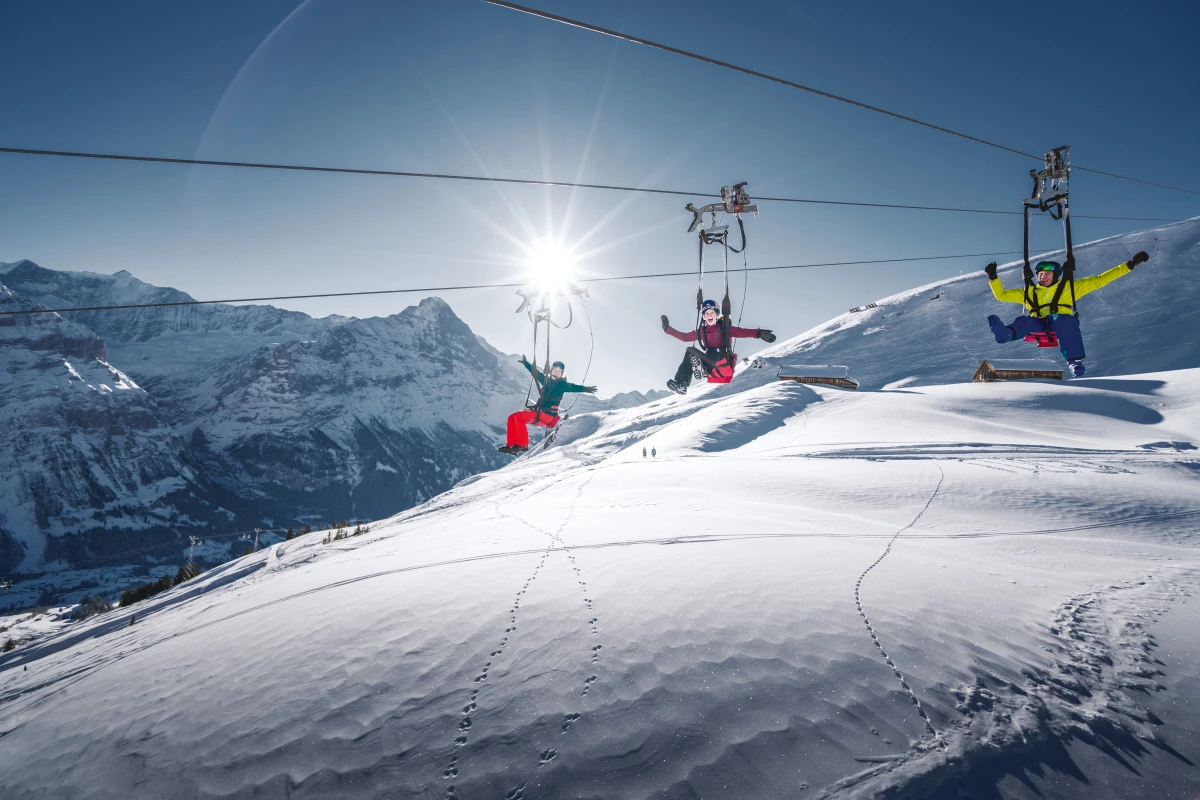 Grindelwald First - everything you need to know about Top of Adventure 2025