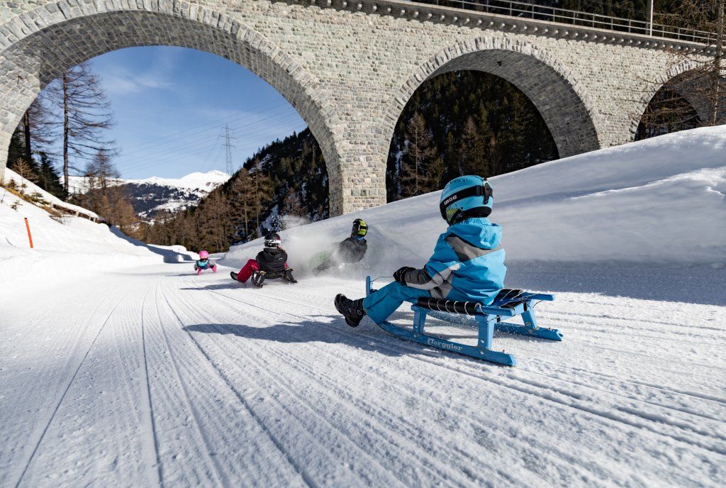 Night sledding in Switzerland | Swiss Activities