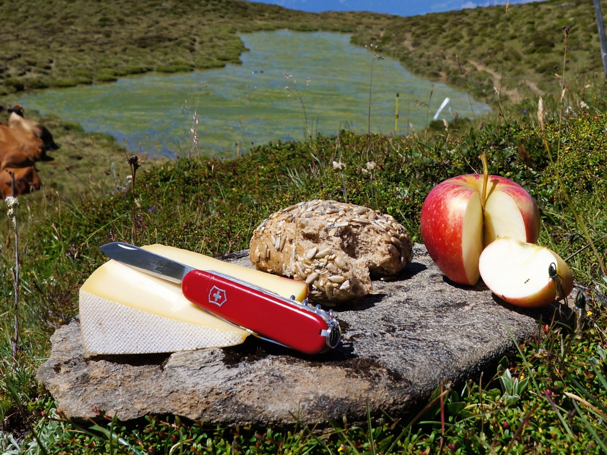 33 Swiss inventions that will amaze you