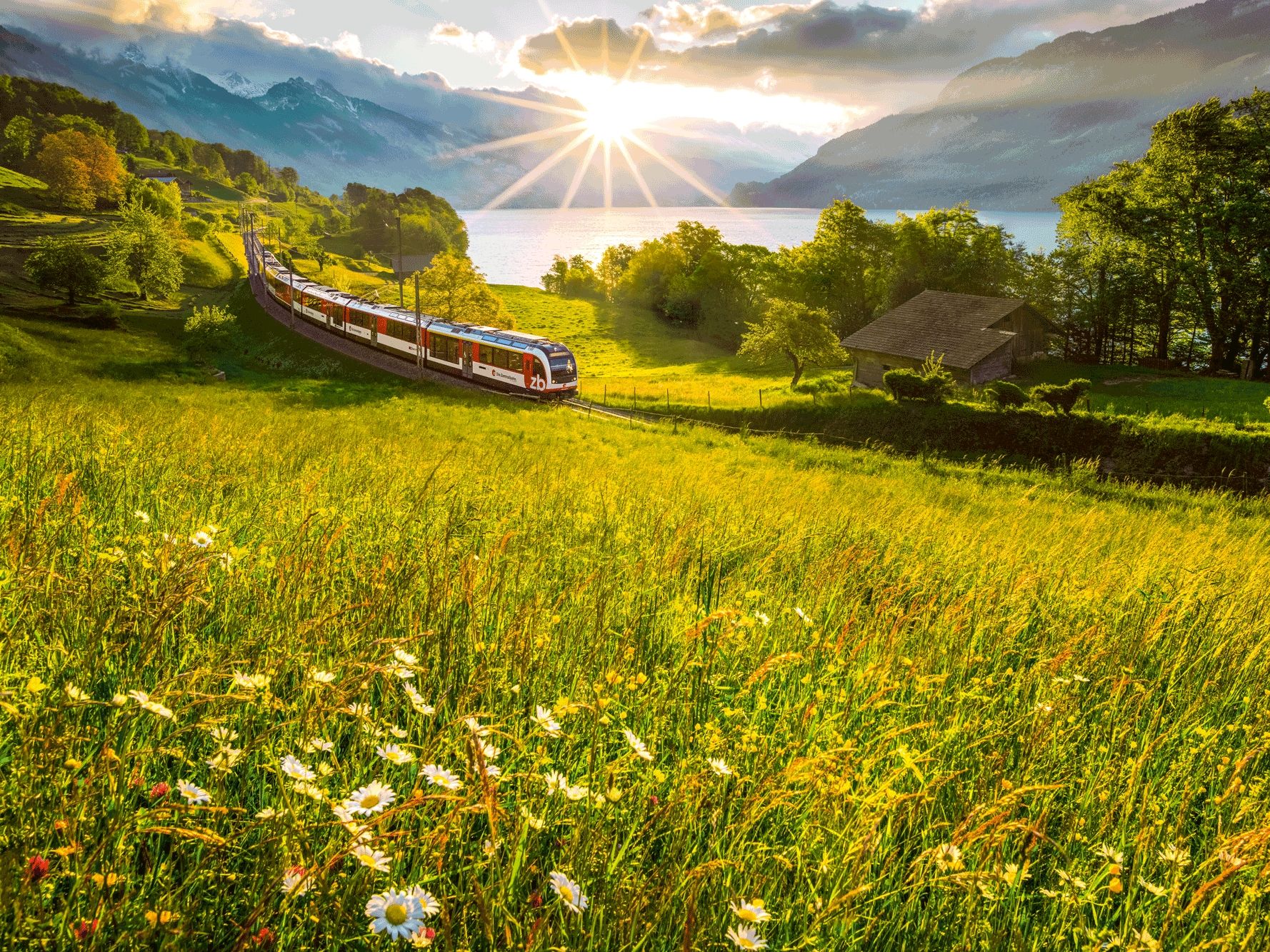 The 5 most beautiful scenic trains in Switzerland