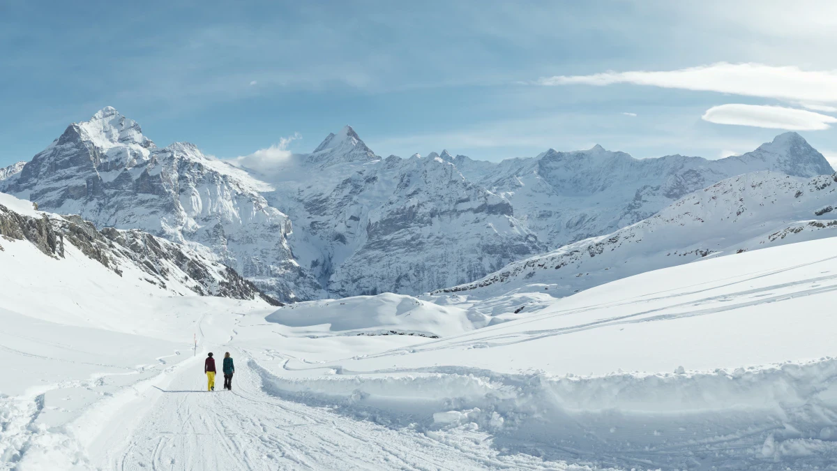 Grindelwald First – everything you need to know about the Top of ...