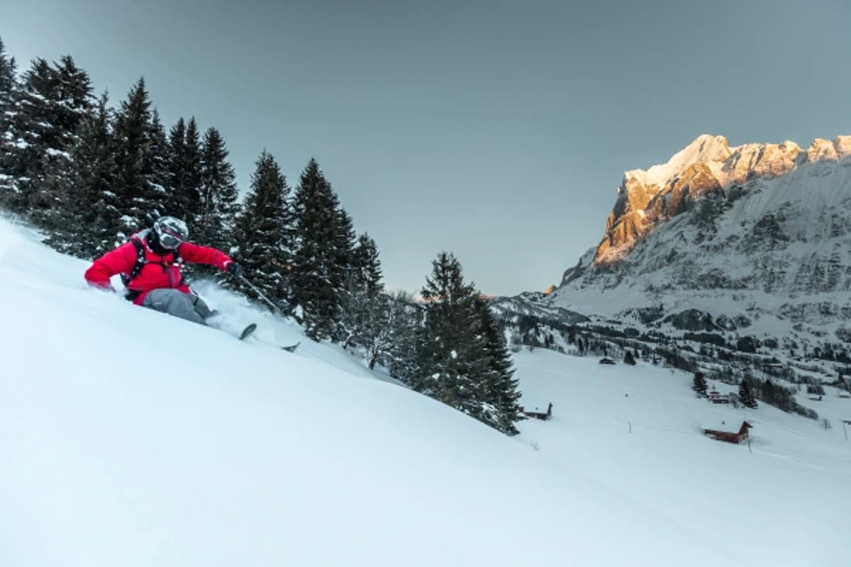 Grindelwald First - everything you need to know about Top of Adventure 2025