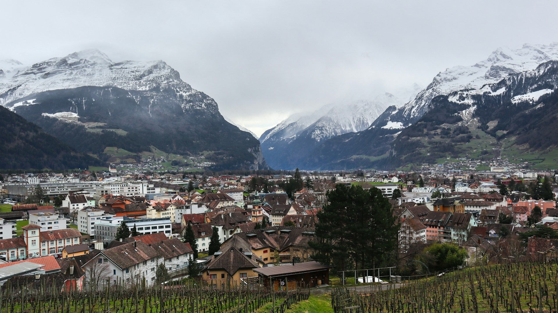 Things to Do in Altdorf 2026
