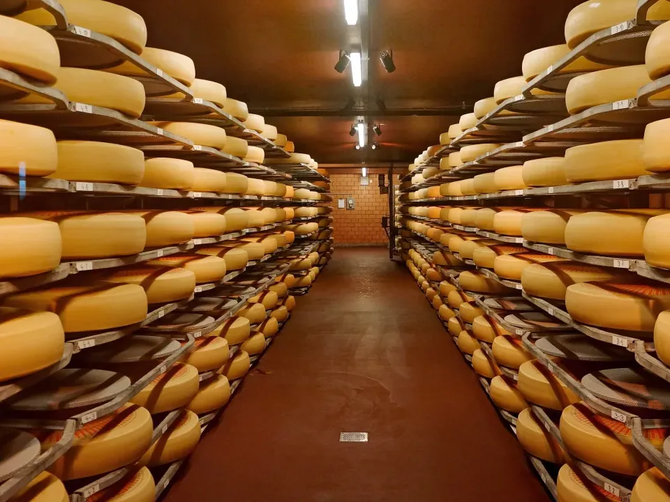 9 Swiss cheese factories you should not miss