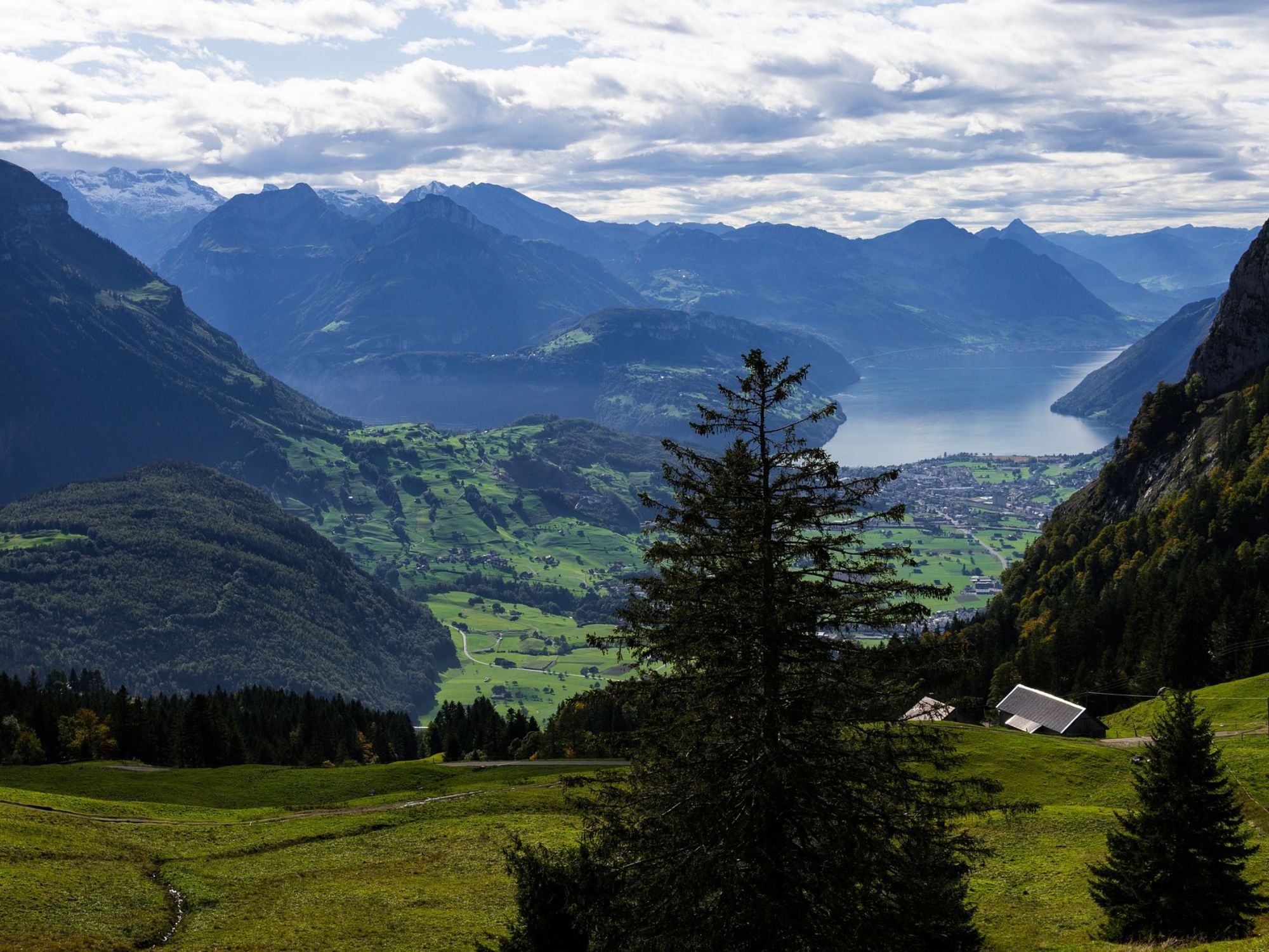 Ticket Rickenbach - Rotenflue (Mythenregion) | Swiss Activities