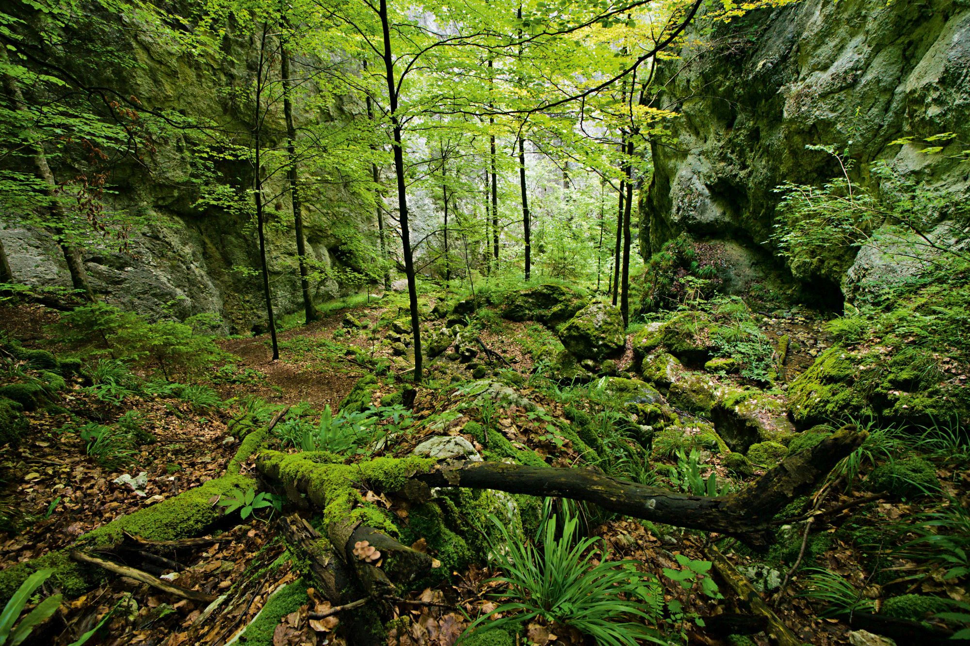 The 20 most beautiful nature parks in Switzerland