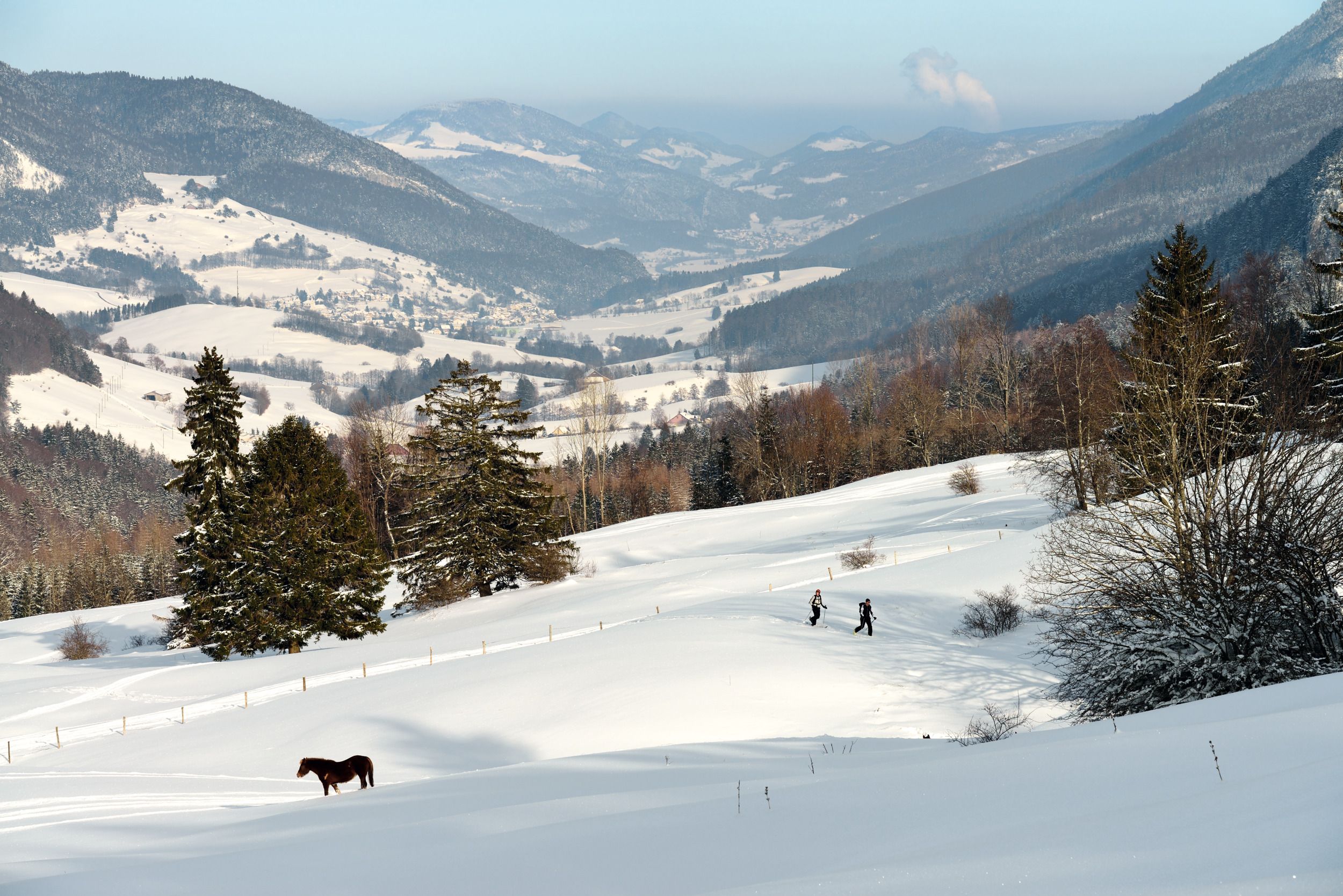 Balsthal - Top Sehenswürdigkeiten und Aktivitäten 2026