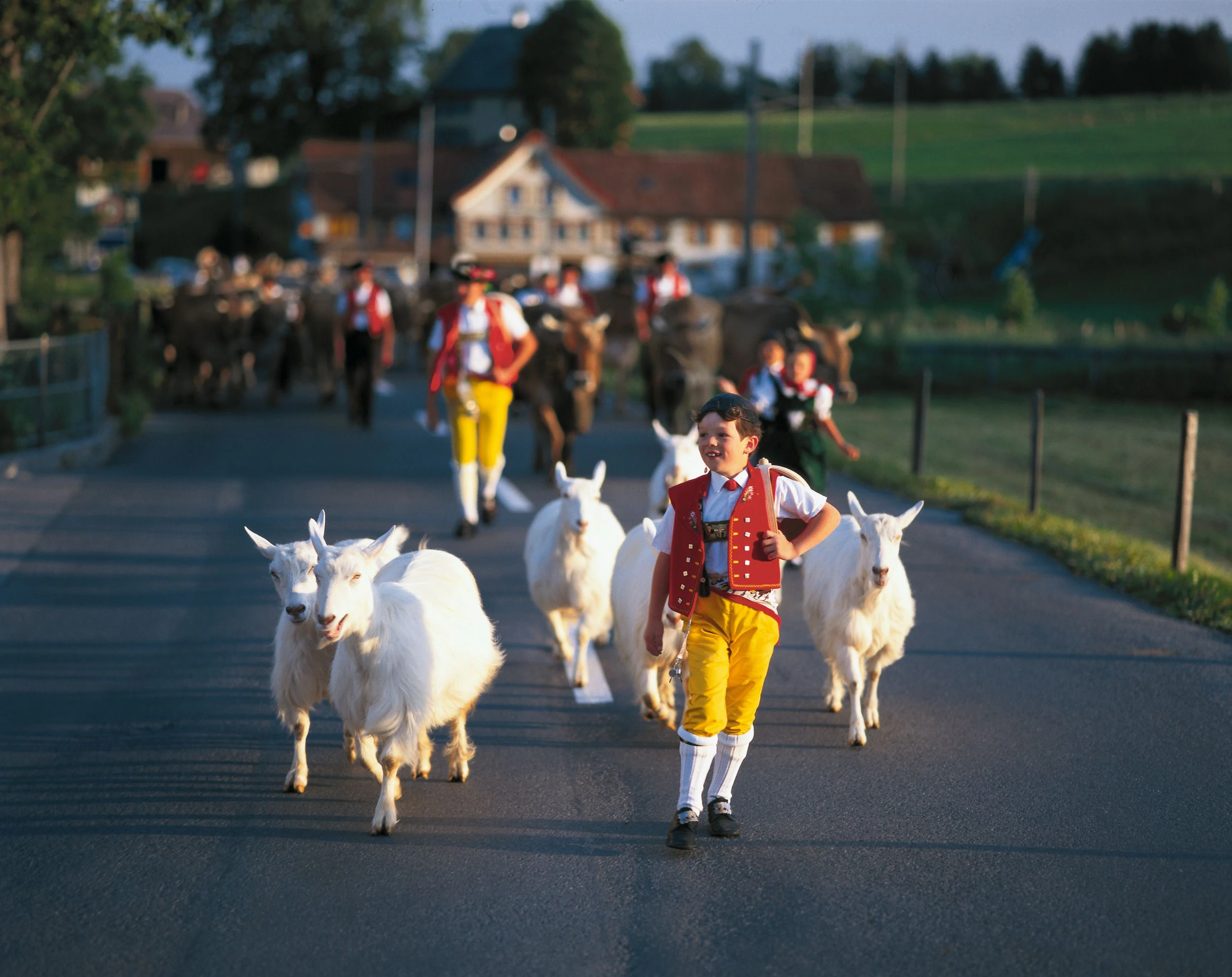 5 Things to Do in Schwende-Rüte 2026