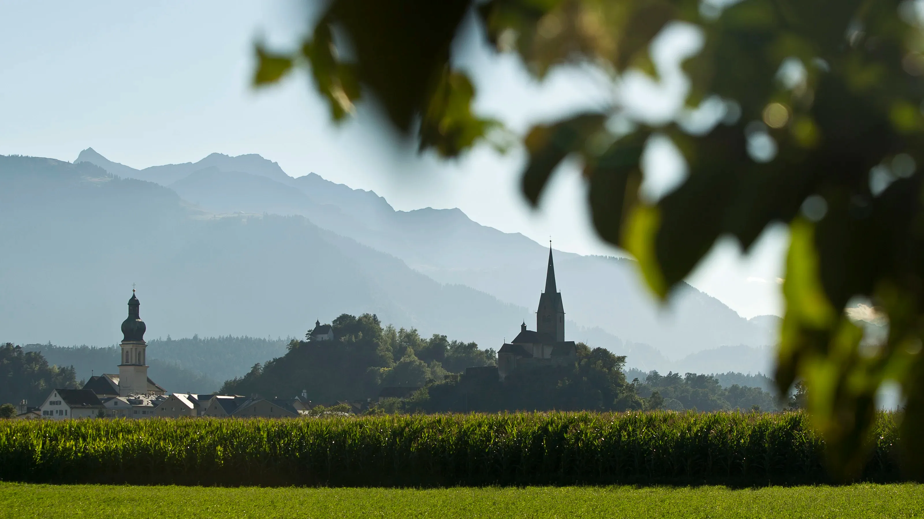 Things to Do in Domat/Ems 2026