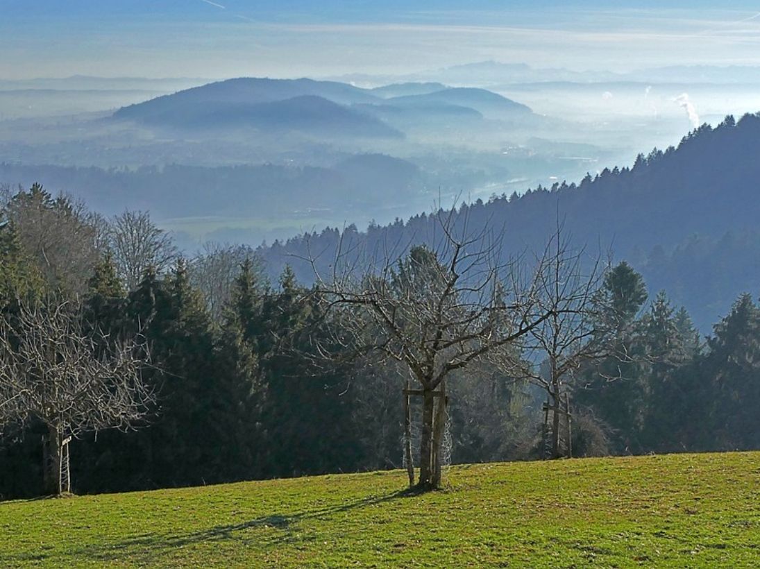 Buchs ZH - Top Sehenswürdigkeiten und Aktivitäten 2026