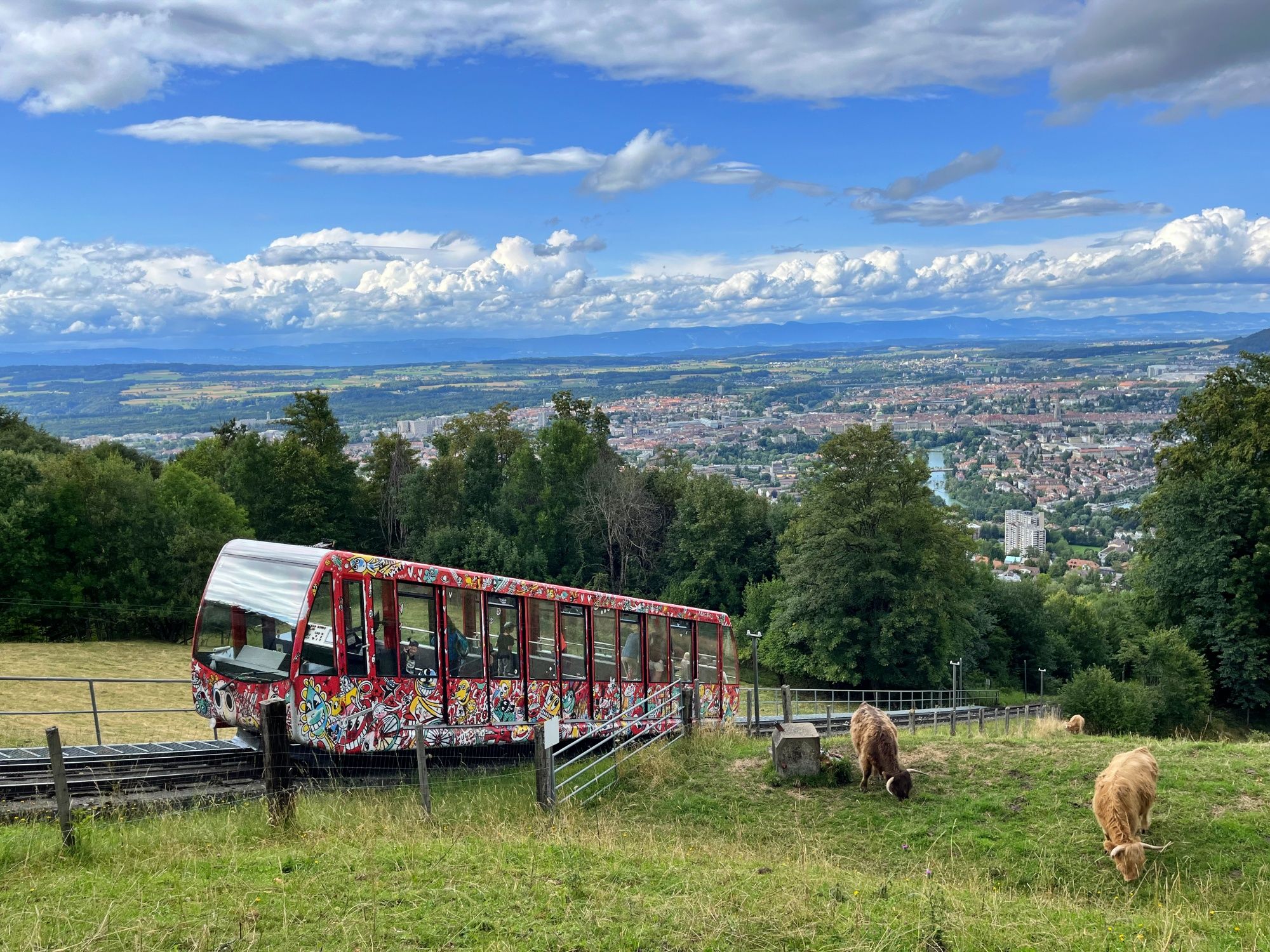 Carte journalière dégriffée CFF - A partir de 29 CHF