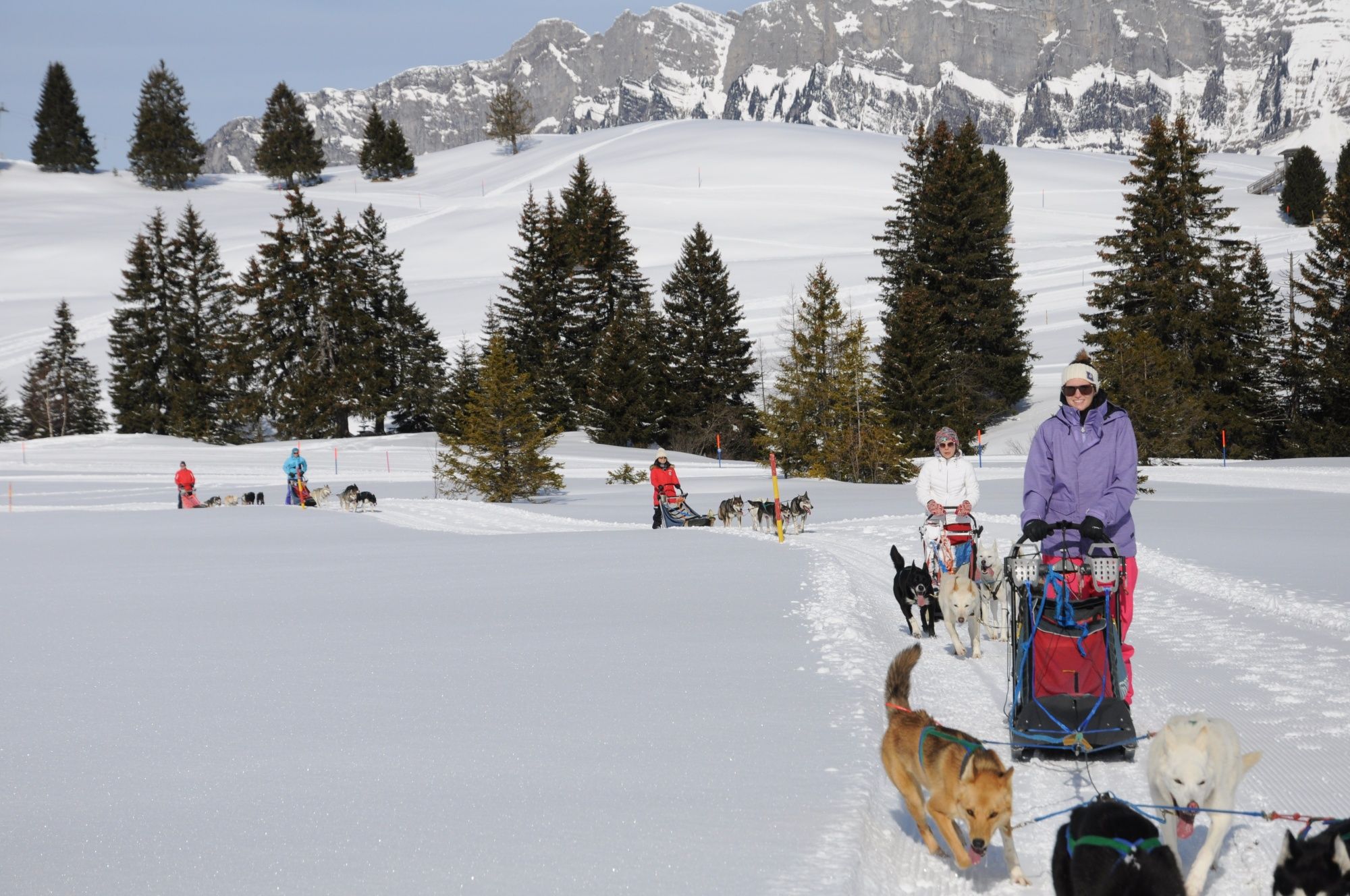 Huskymotion half day in winter