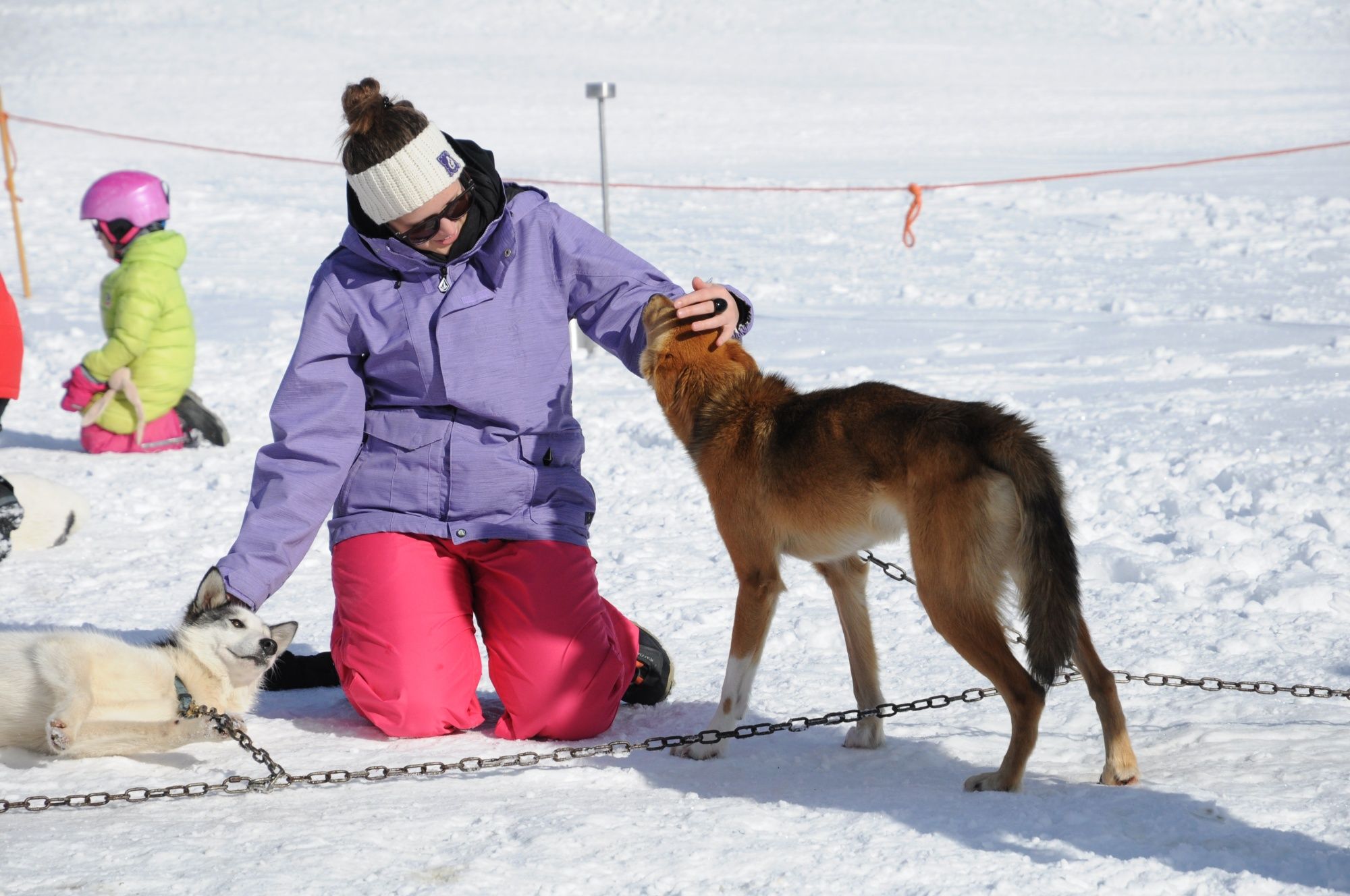 Huskymotion half day in winter
