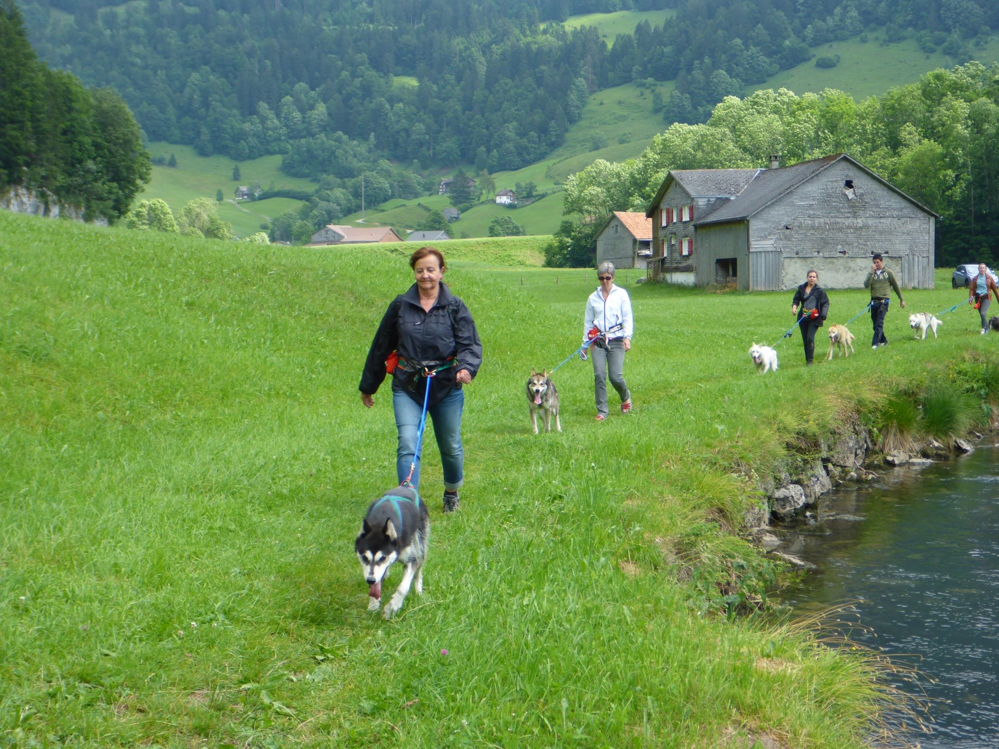 Husky trekking day tour