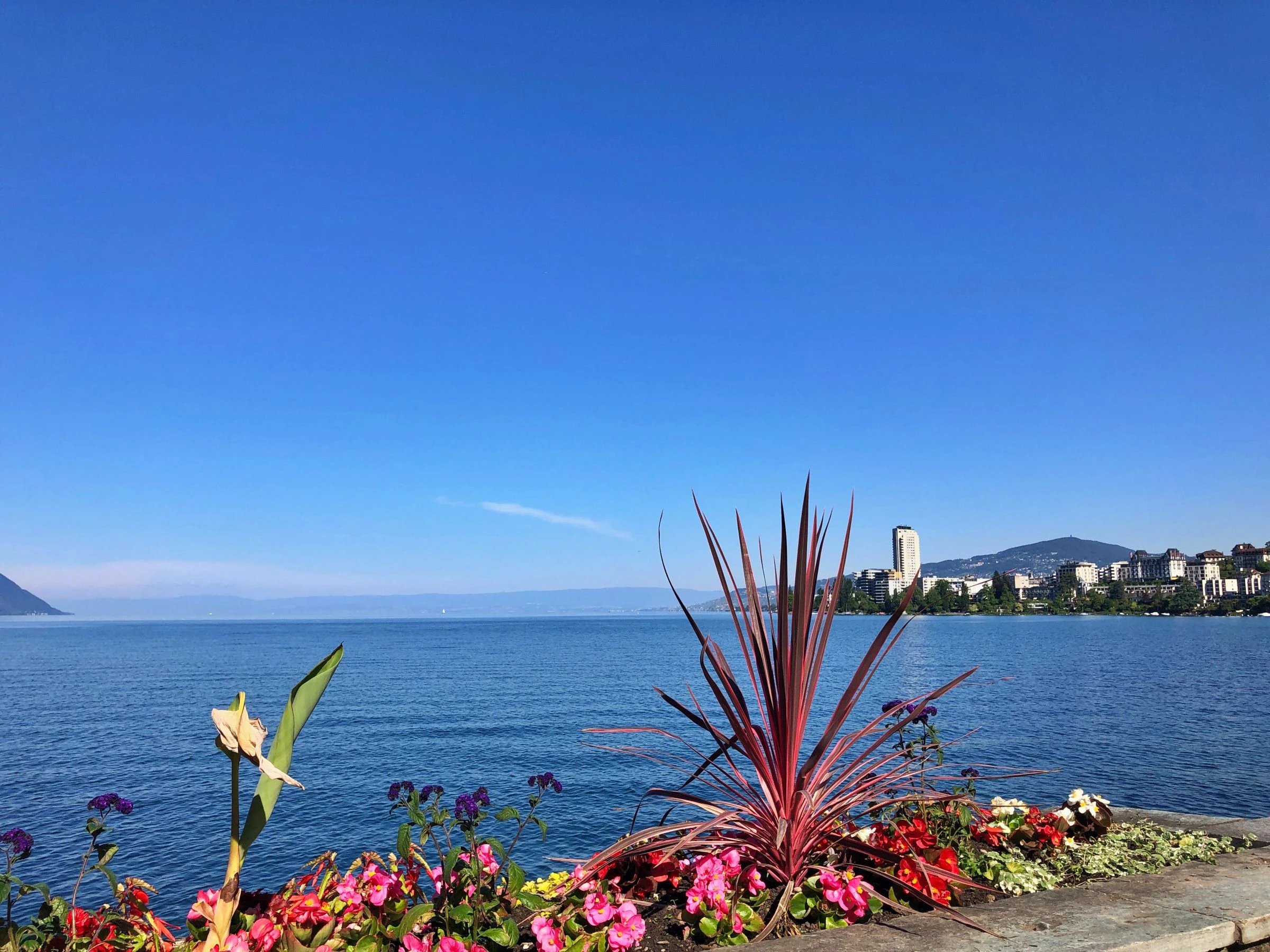 Montreux - Najlepsze 11 atrakcji i aktywności 2026