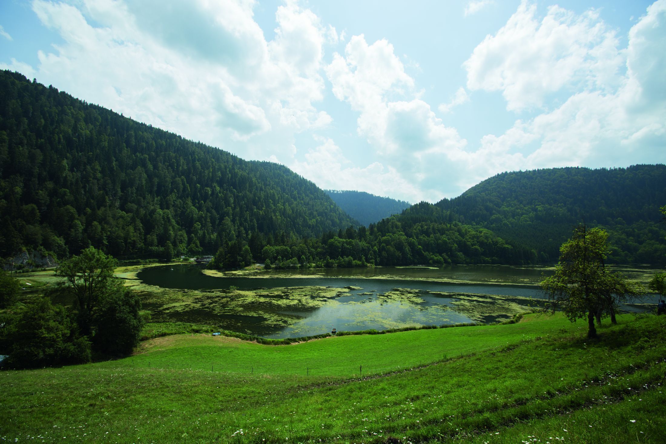 The 19 most beautiful nature parks in Switzerland | Swiss Activities