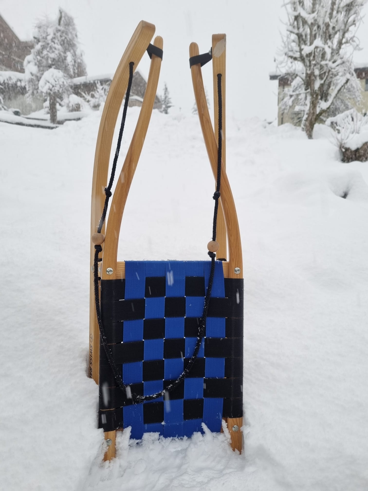 Sledge hire Grindelwald