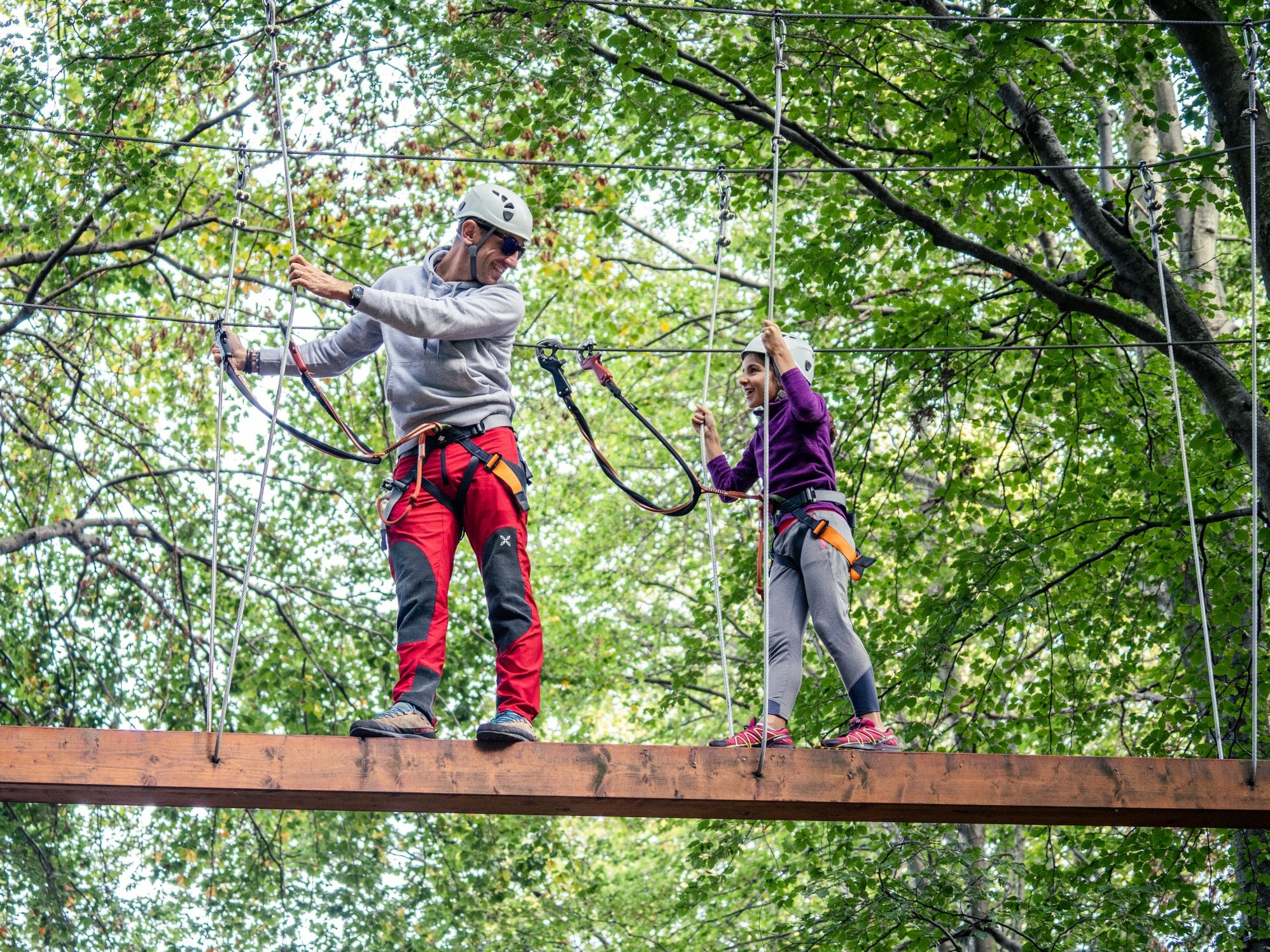 Parco avventura Monte Tamaro con biglietto del treno incluso