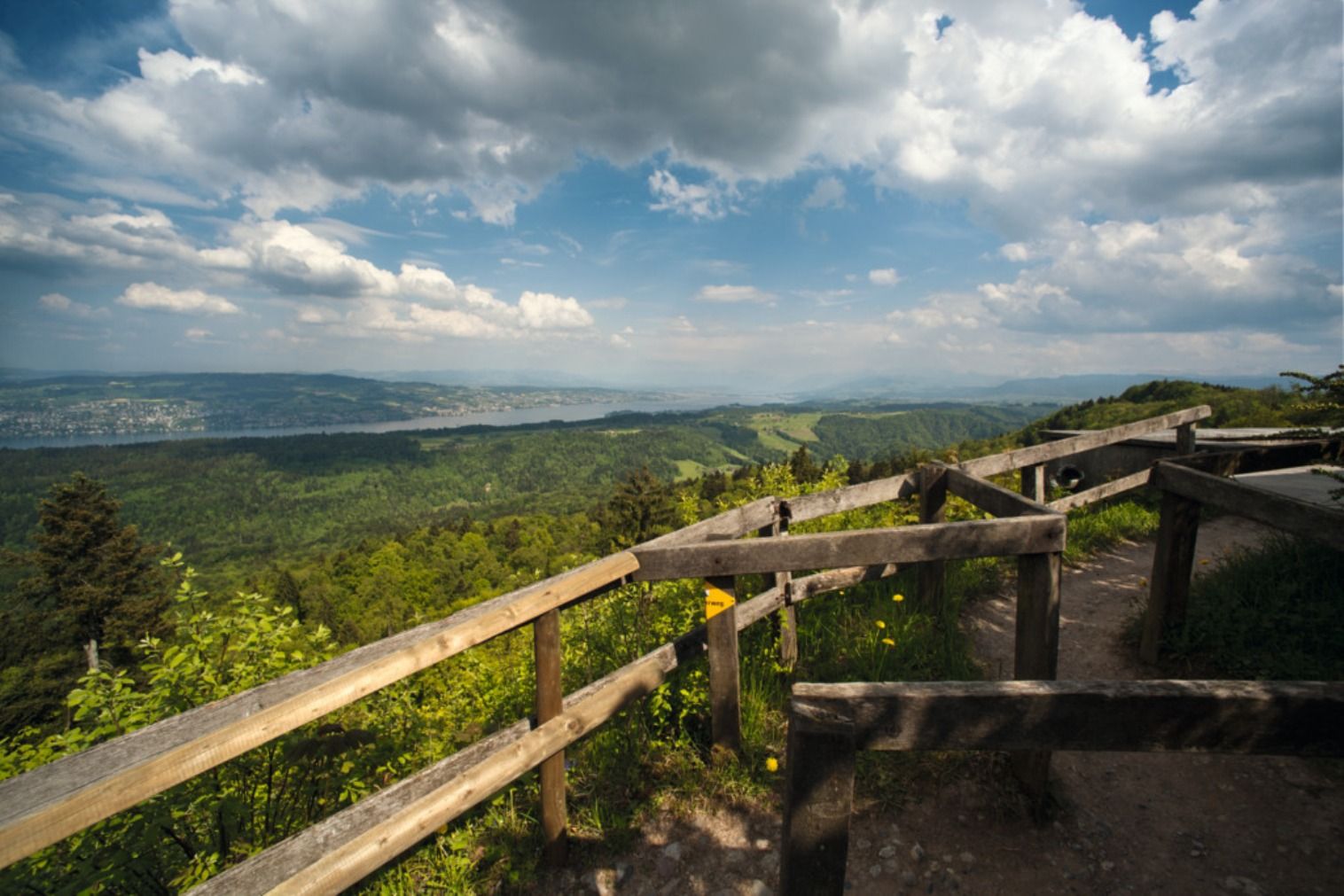 Things to Do in Horgen 2026