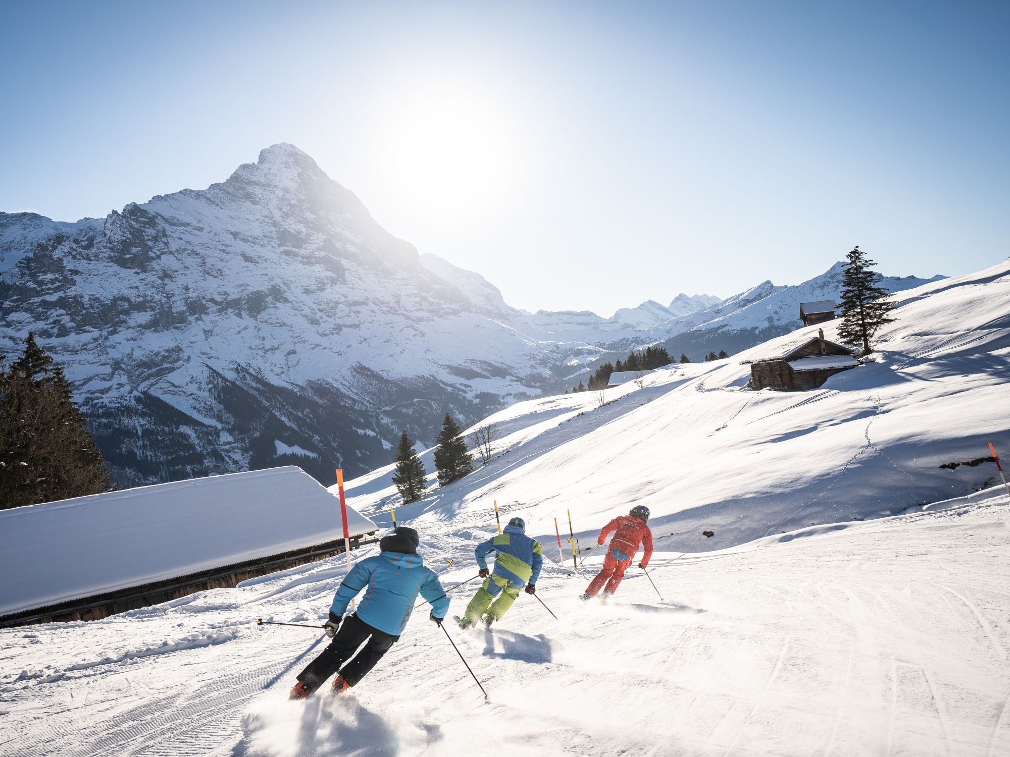 Bodmi Arena 3 days ski private lessons incl. rental | Swiss Activities