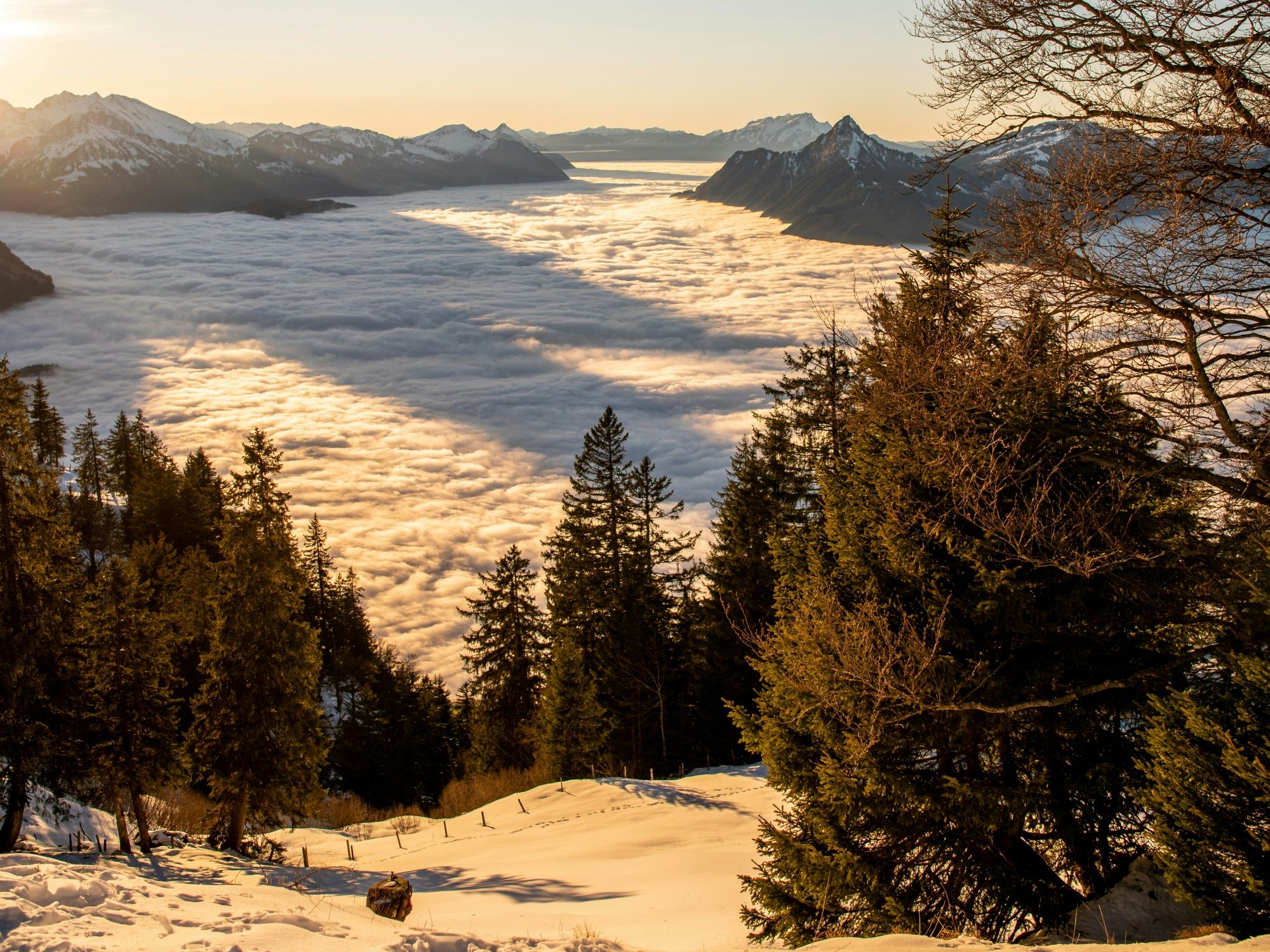 Ticket Rickenbach - Rotenflue (Mythenregion) | Swiss Activities