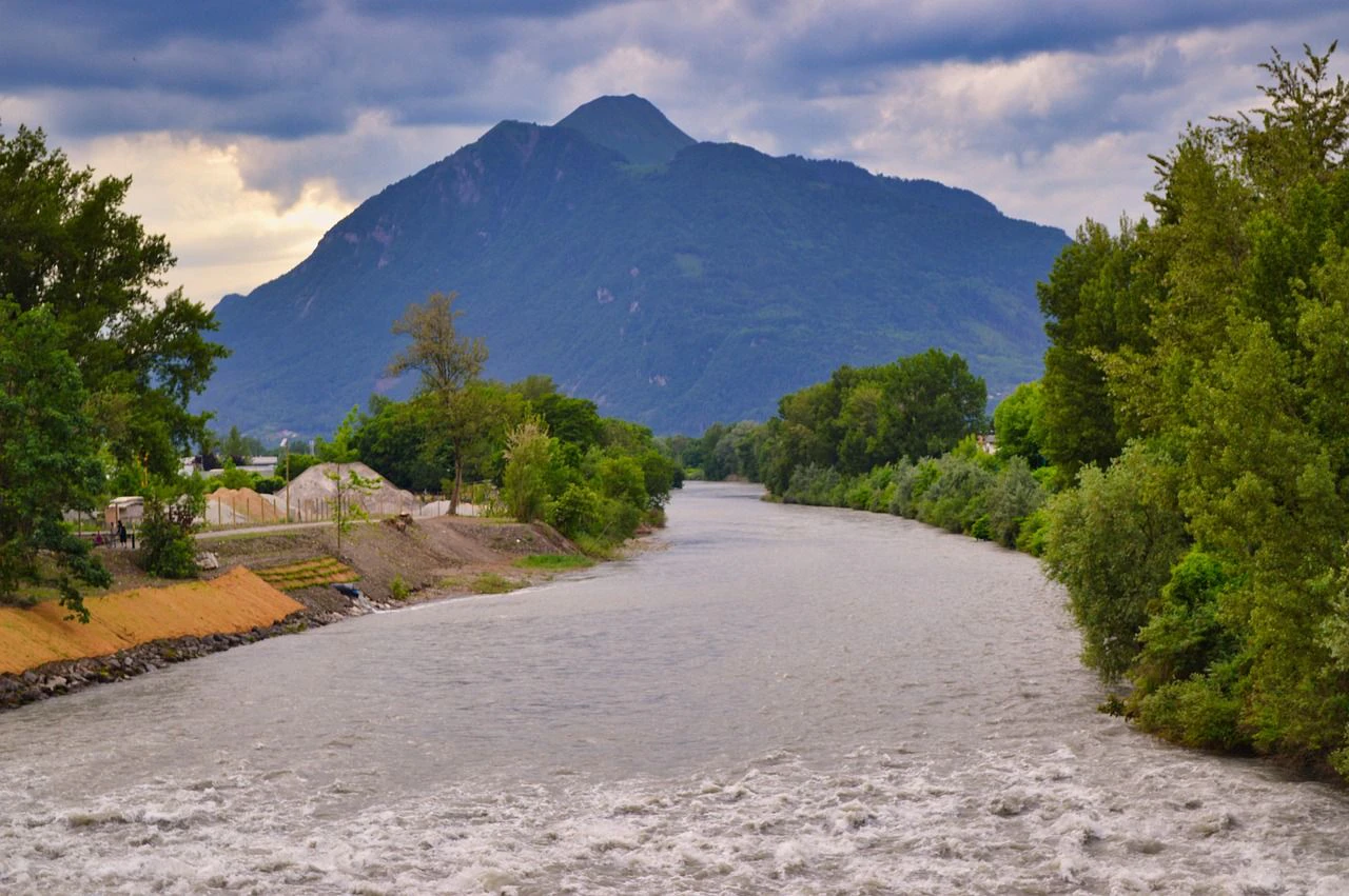 Arve